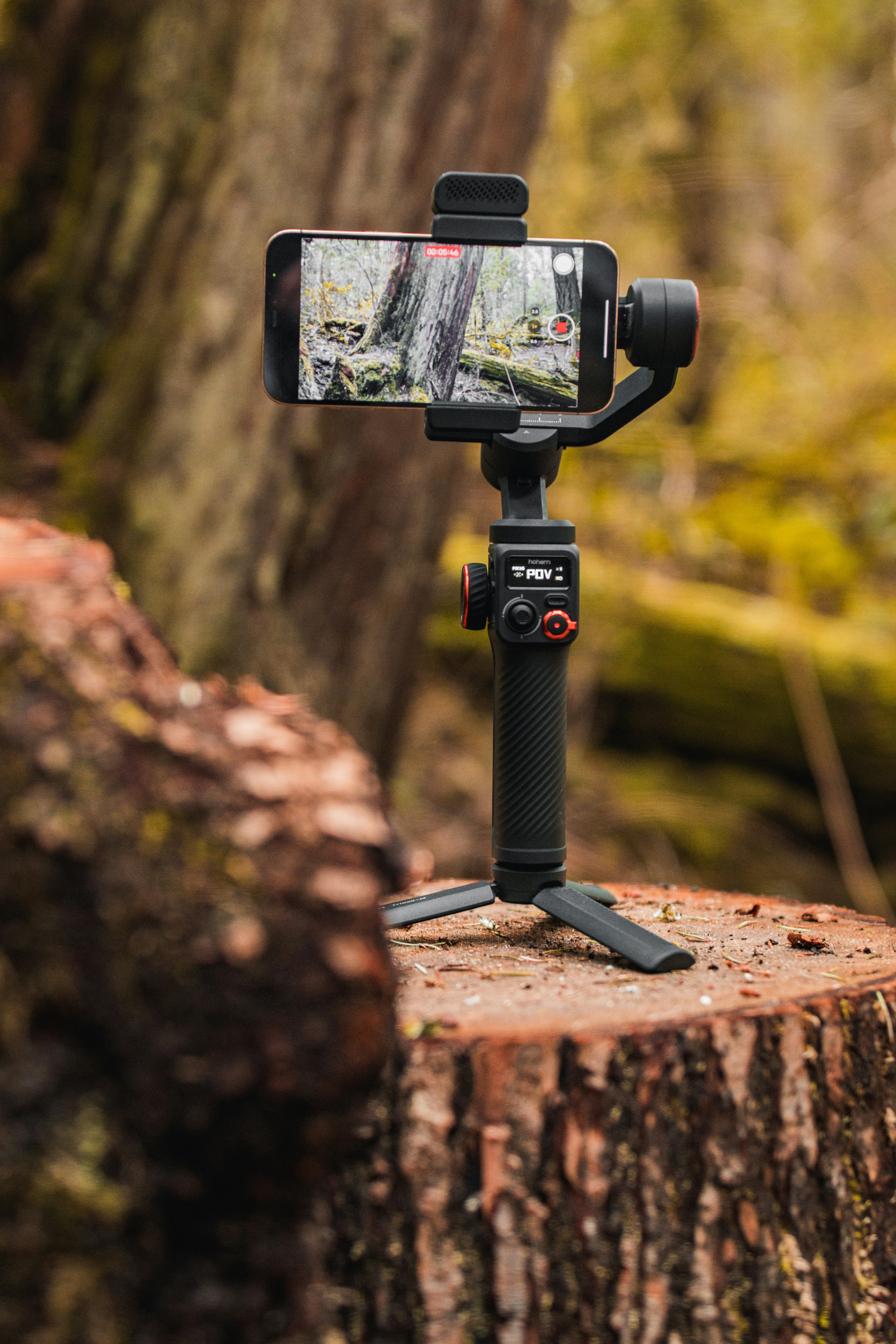Phone on a Stabilized Tripod Capturing a Forest Trunk Scene