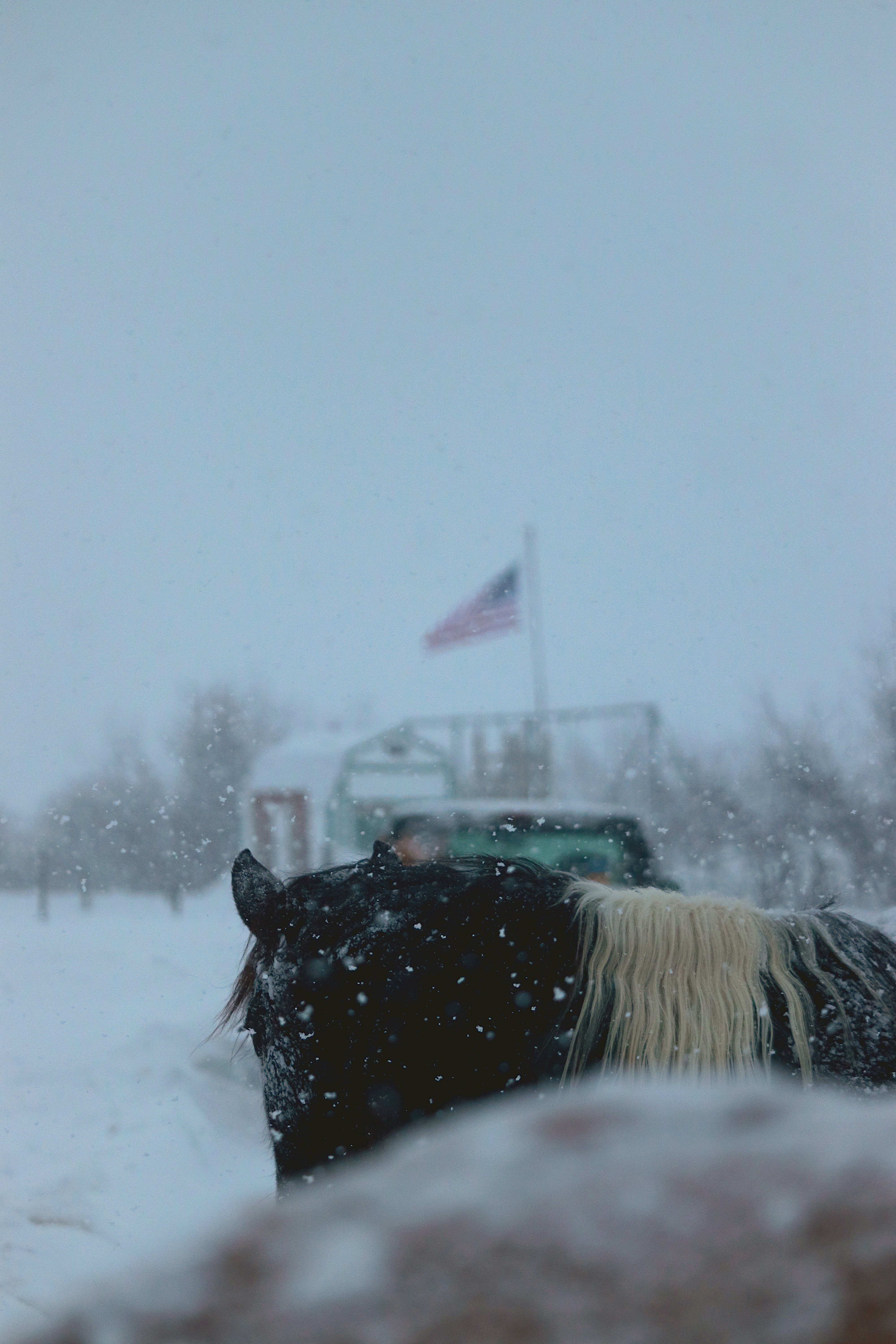 Snowy morning feeding for the horses