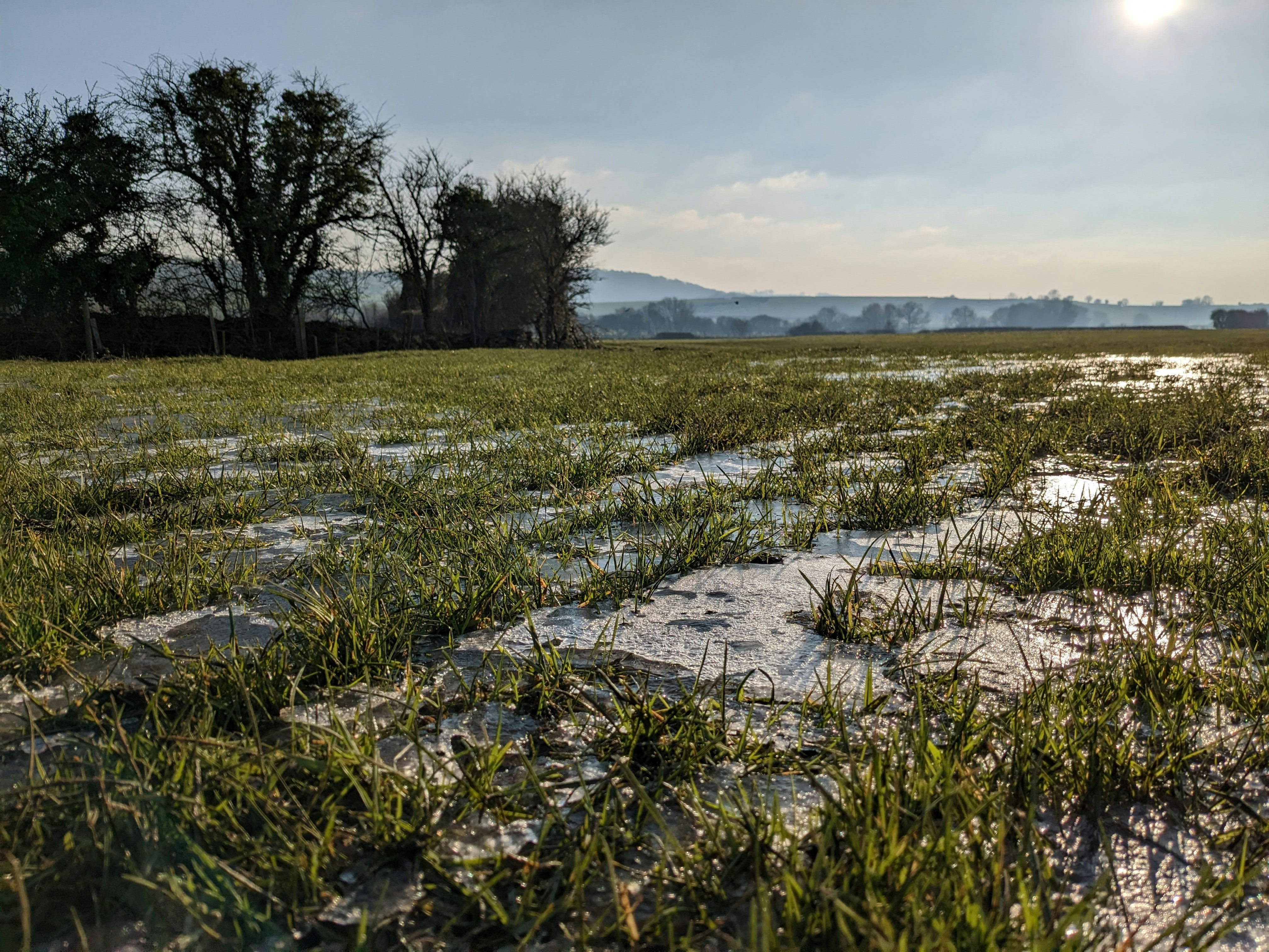 Dawn Mist Over a Puddled Meadow