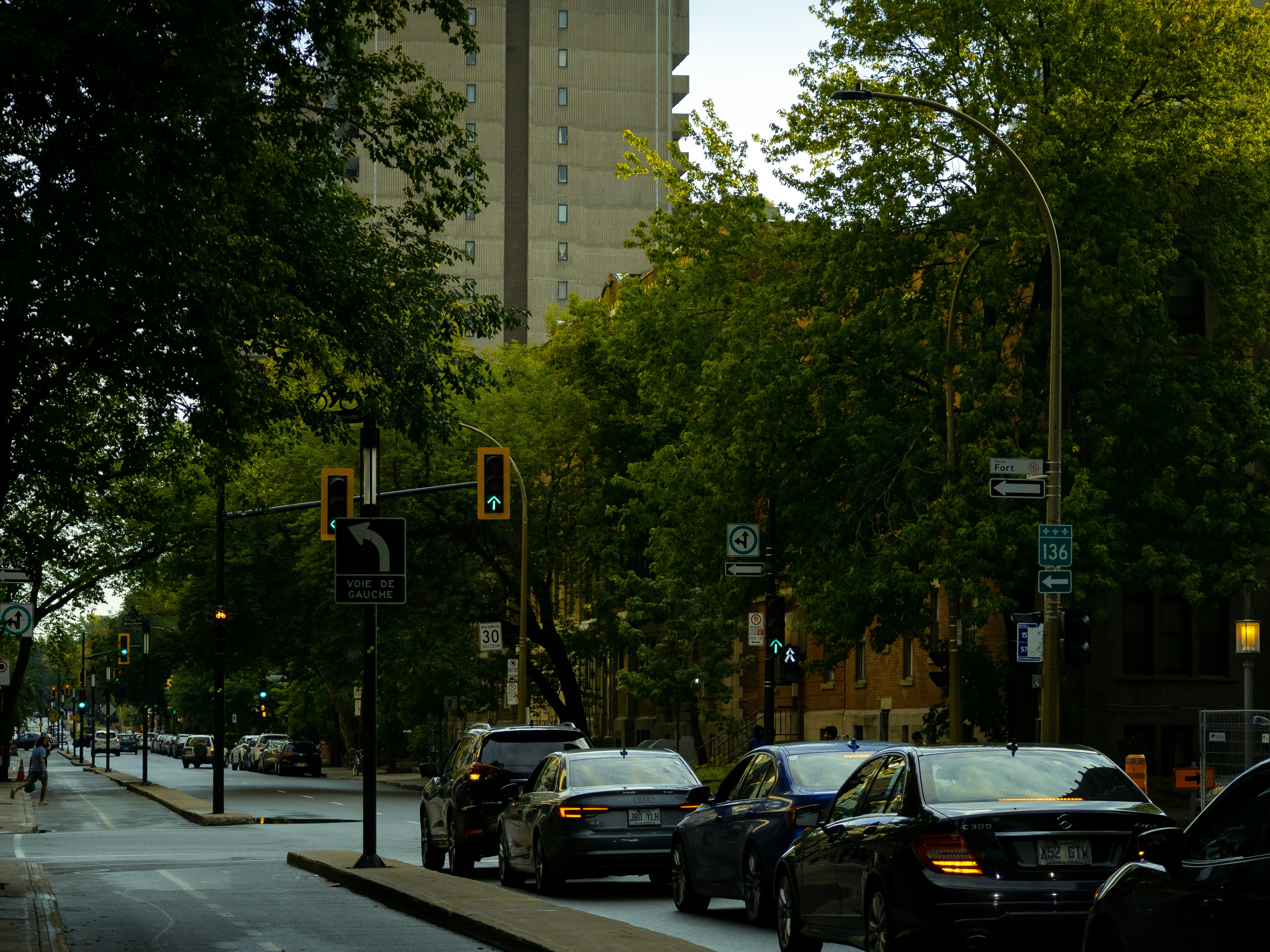 Photo by Clément Bouchard with Canon EOS M50