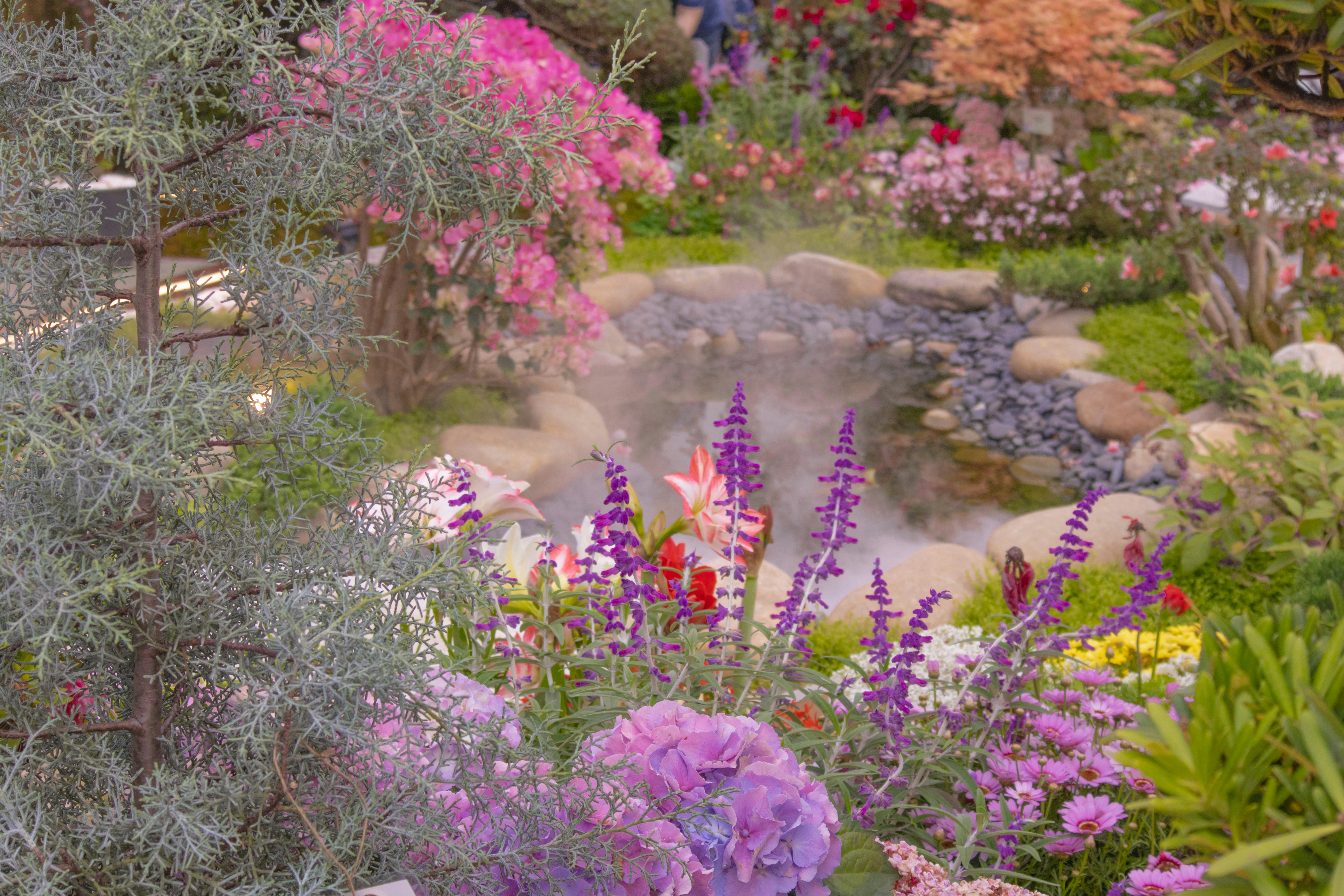 A garden filled with lots of different types of flowers photo – Free ...