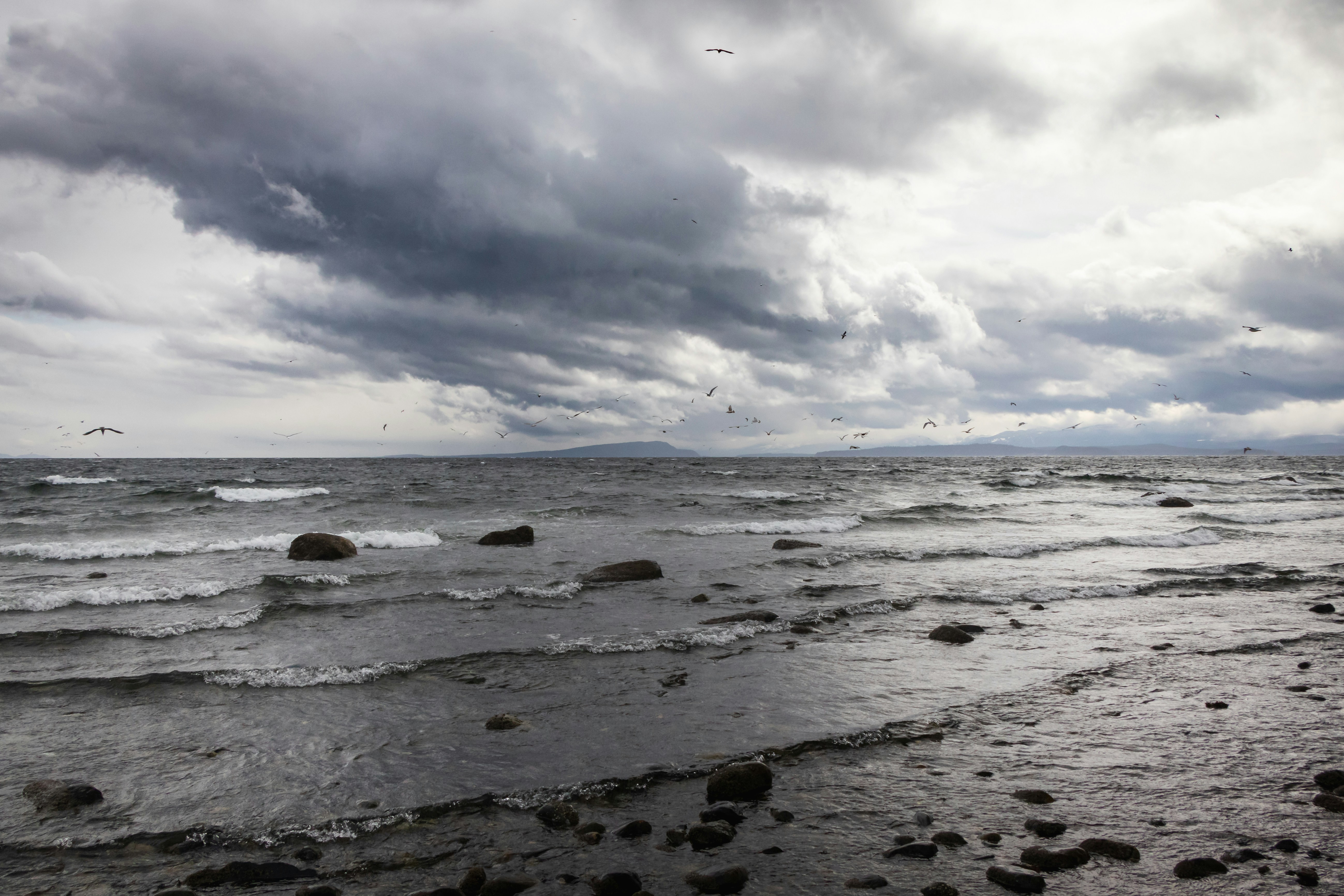 Dark clouds loom over a turbulent sea, with scattered rocks visible along the shoreline and seagulls soaring above. The scene evokes a sense of nature's raw power.