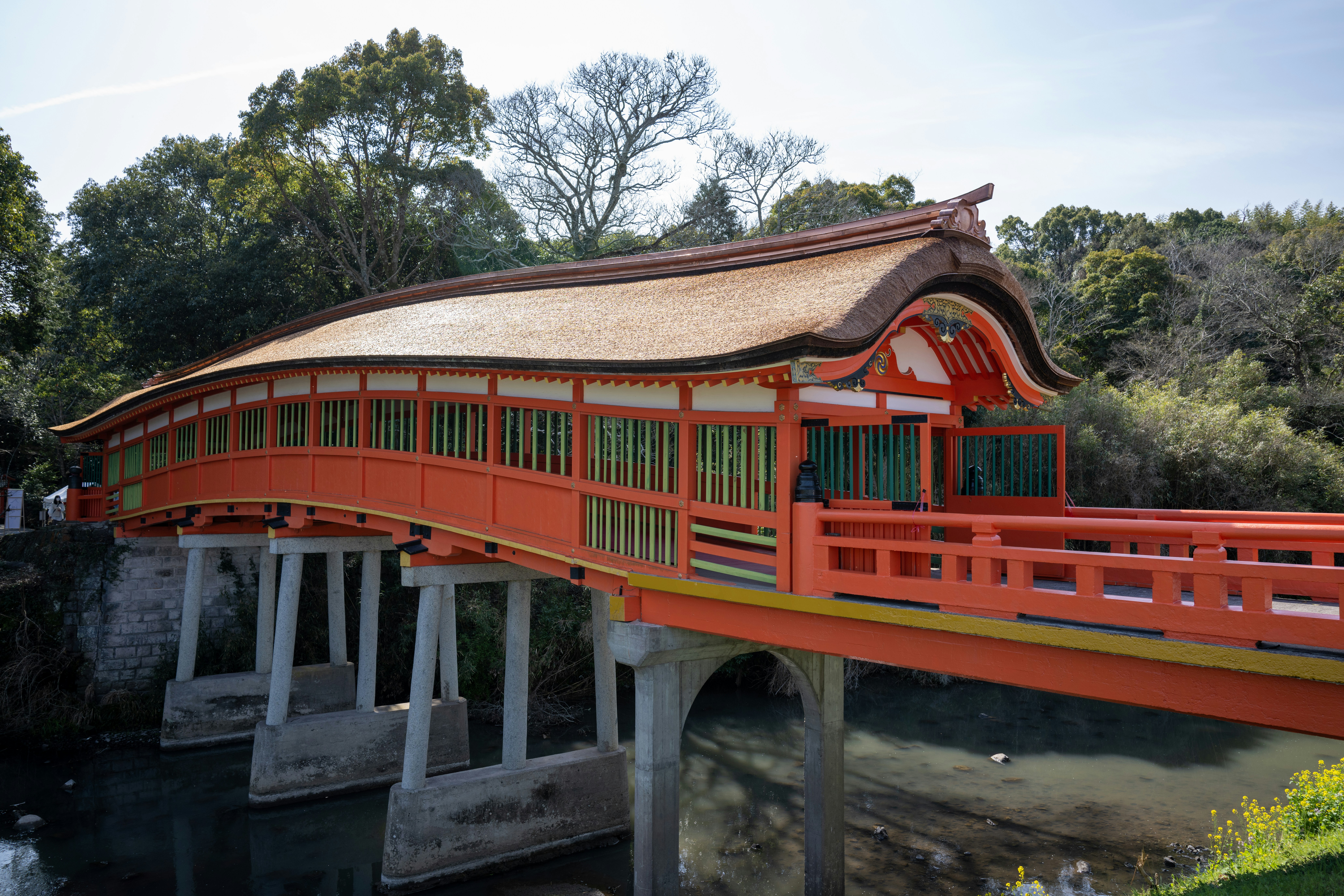 Photo by Kouji Tsuru with Nikon Z9