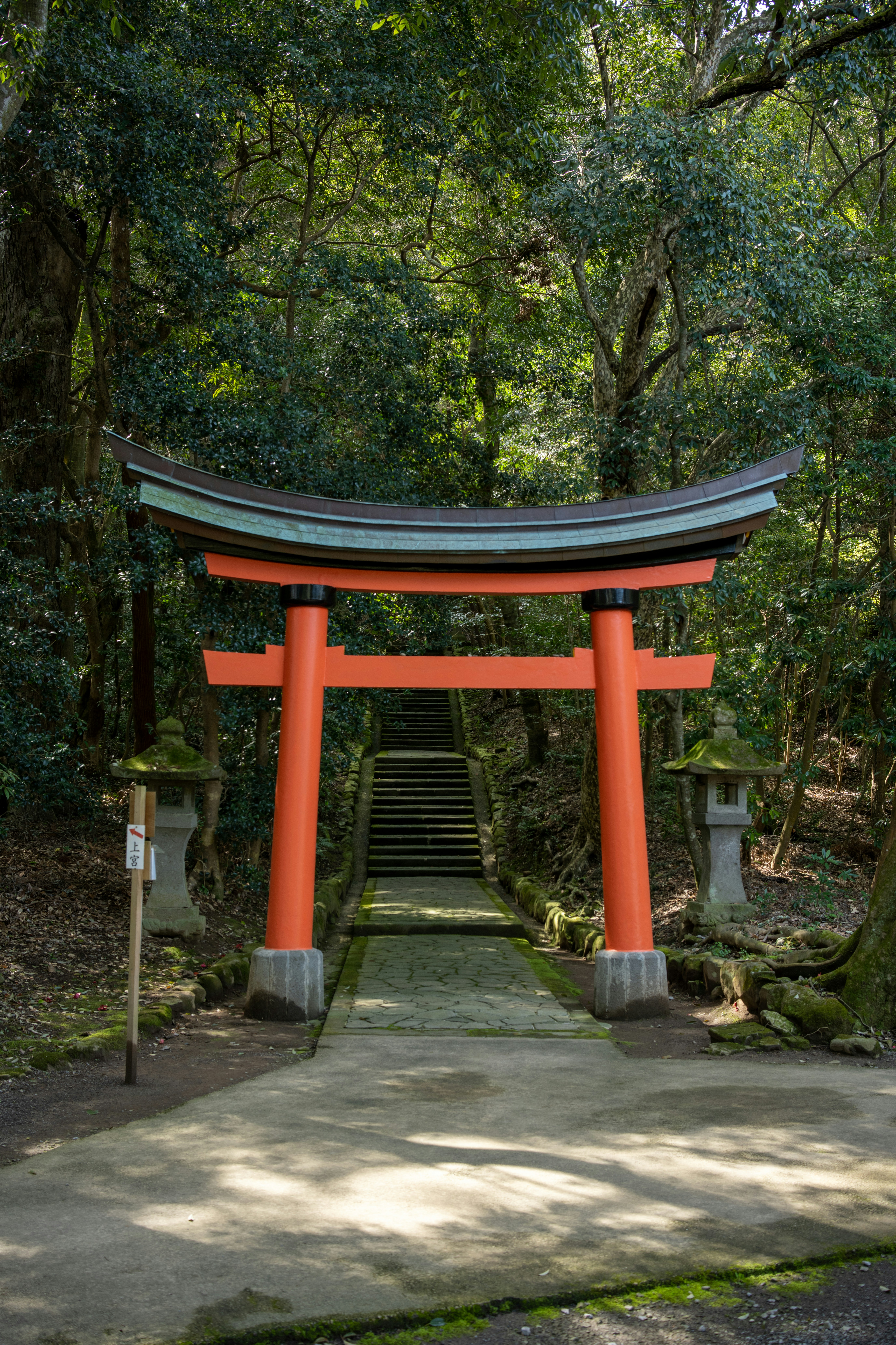 A red tori tori tori tori tori tori tori tori tori tori tori tori tori ...