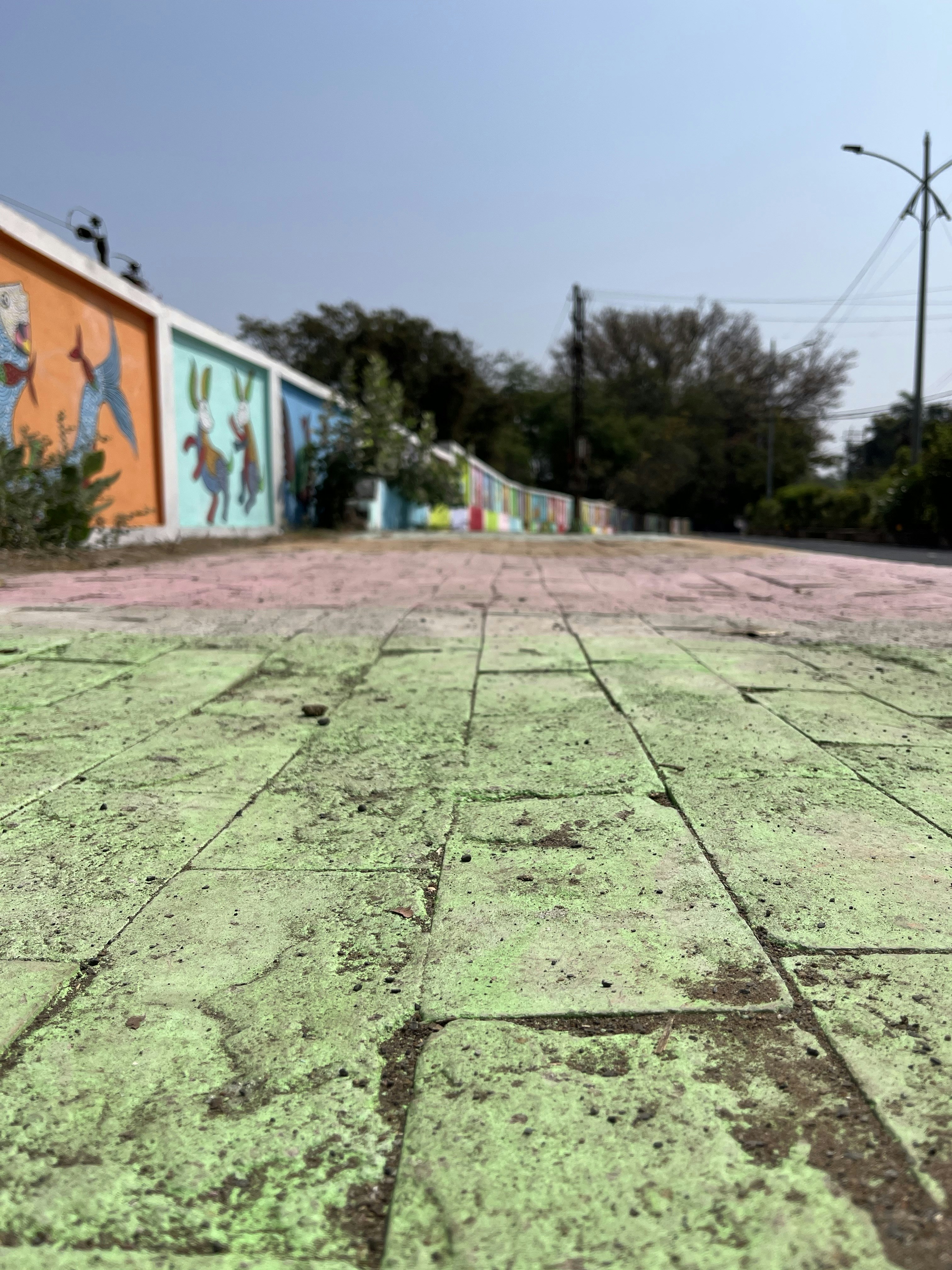 Moss-Tiled Path: A Low-Angle Look at Murals Under a Clear Sky