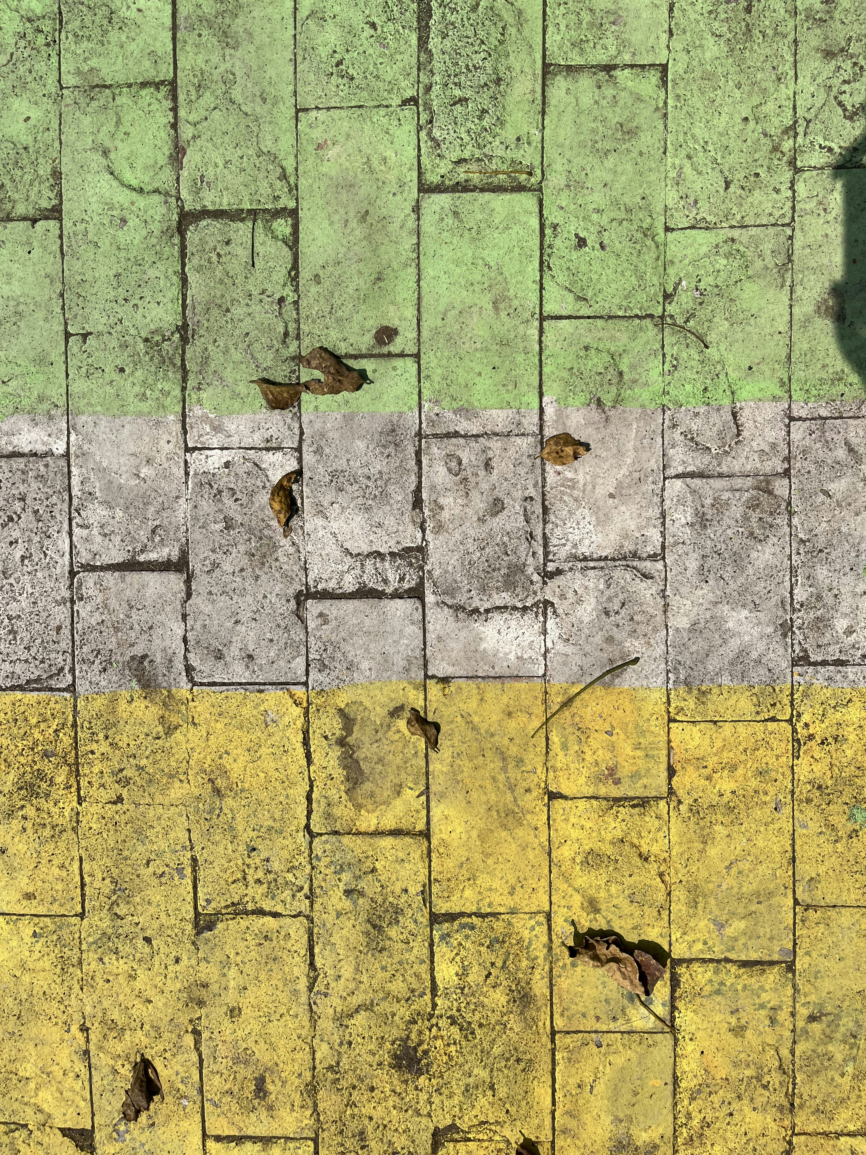 Three-Tone Sidewalk: Green, Gray, and Gold in Quiet Autumn Light