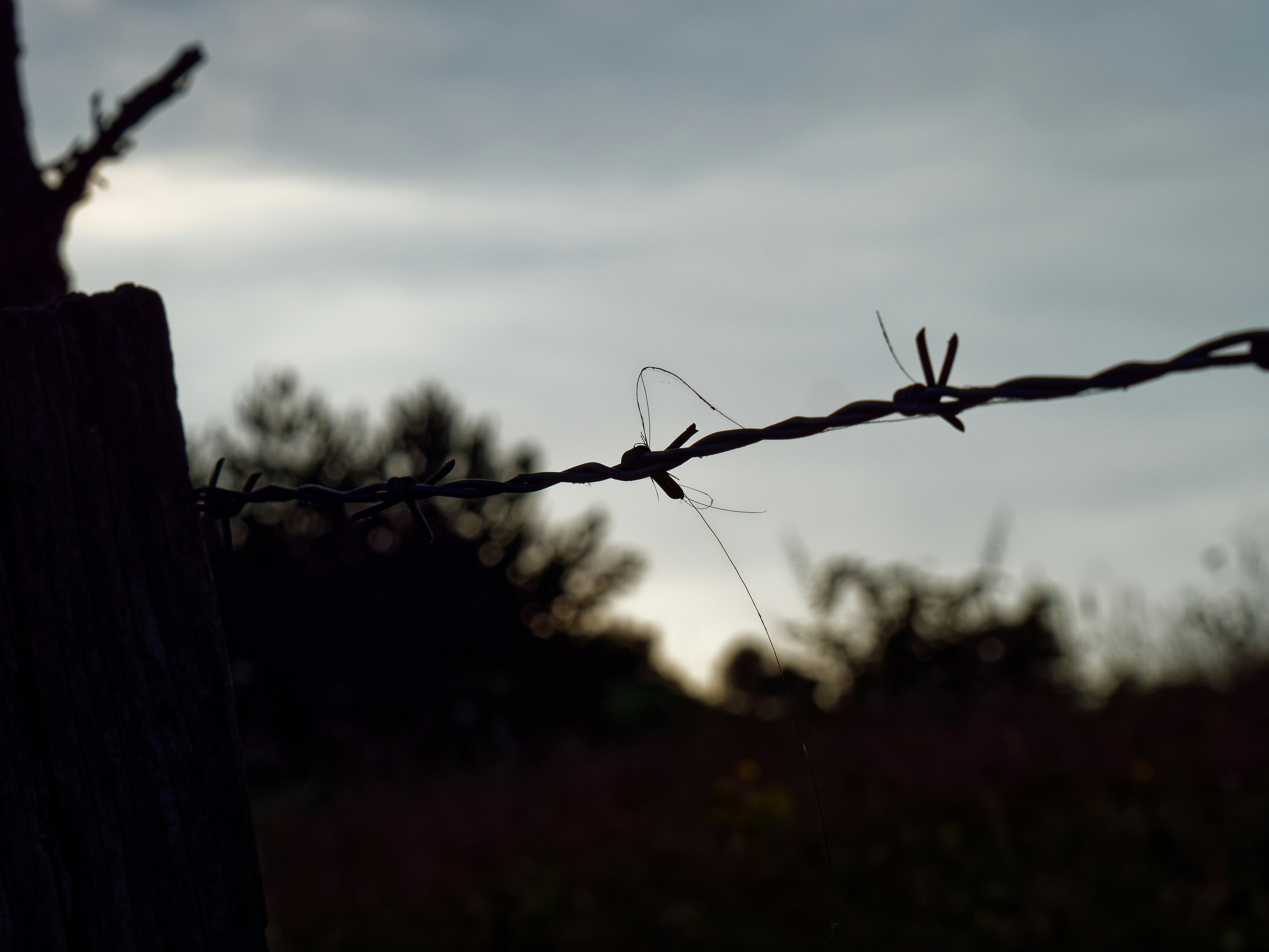 Photo by Koa'link with Panasonic Lumix G9