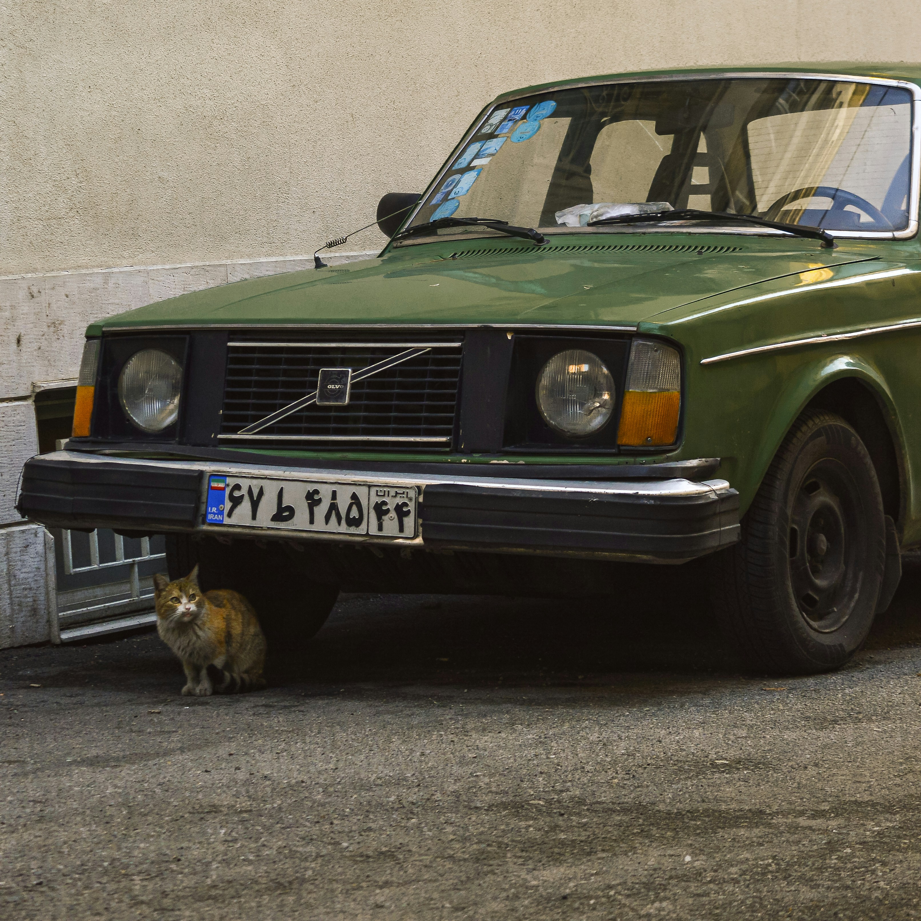 A curious orange cat sits beside a vintage green Volvo parked in a quiet alley, showcasing a blend of urban life and nature.