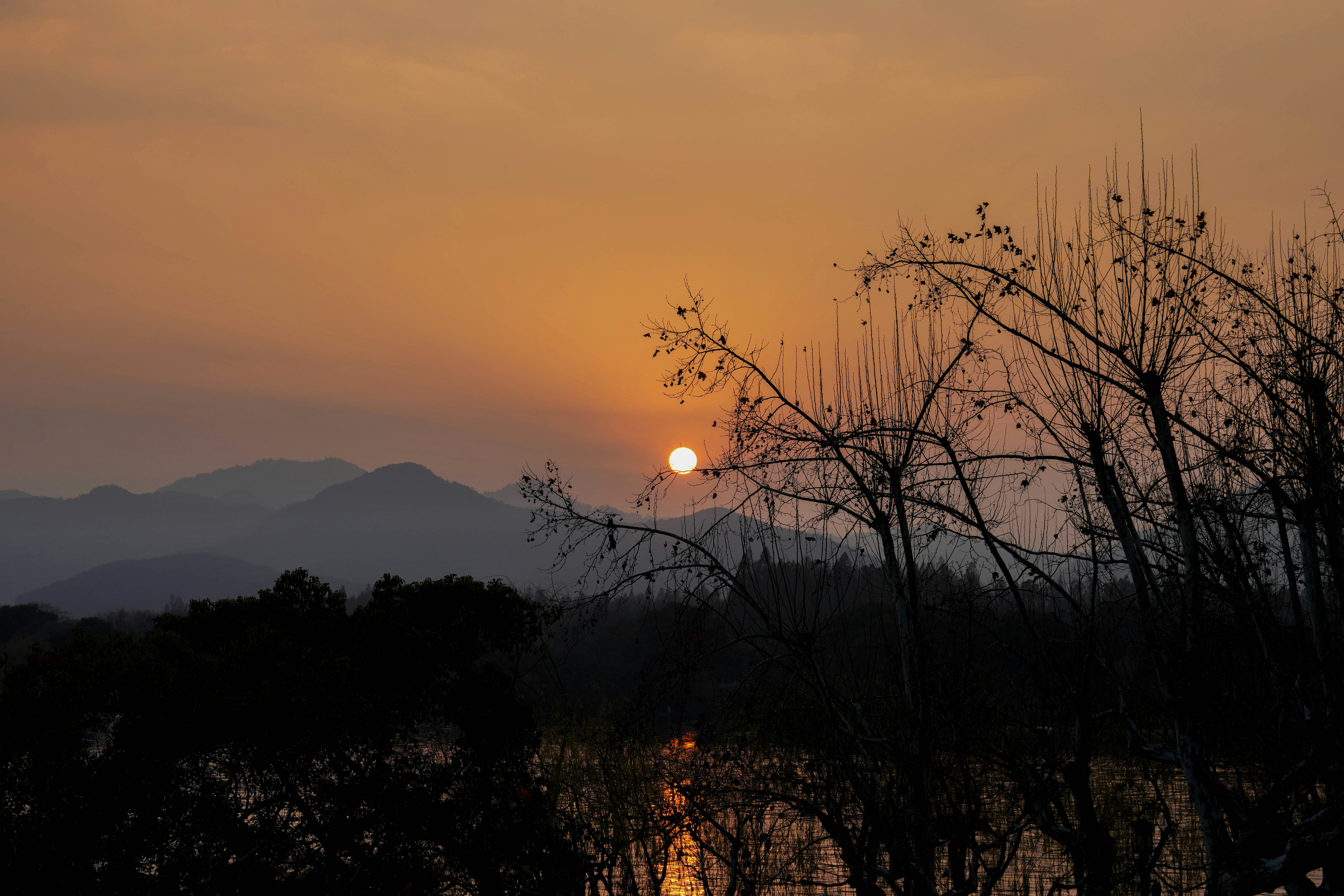 Photo by Michael Jiang with Sony Alpha 7R V