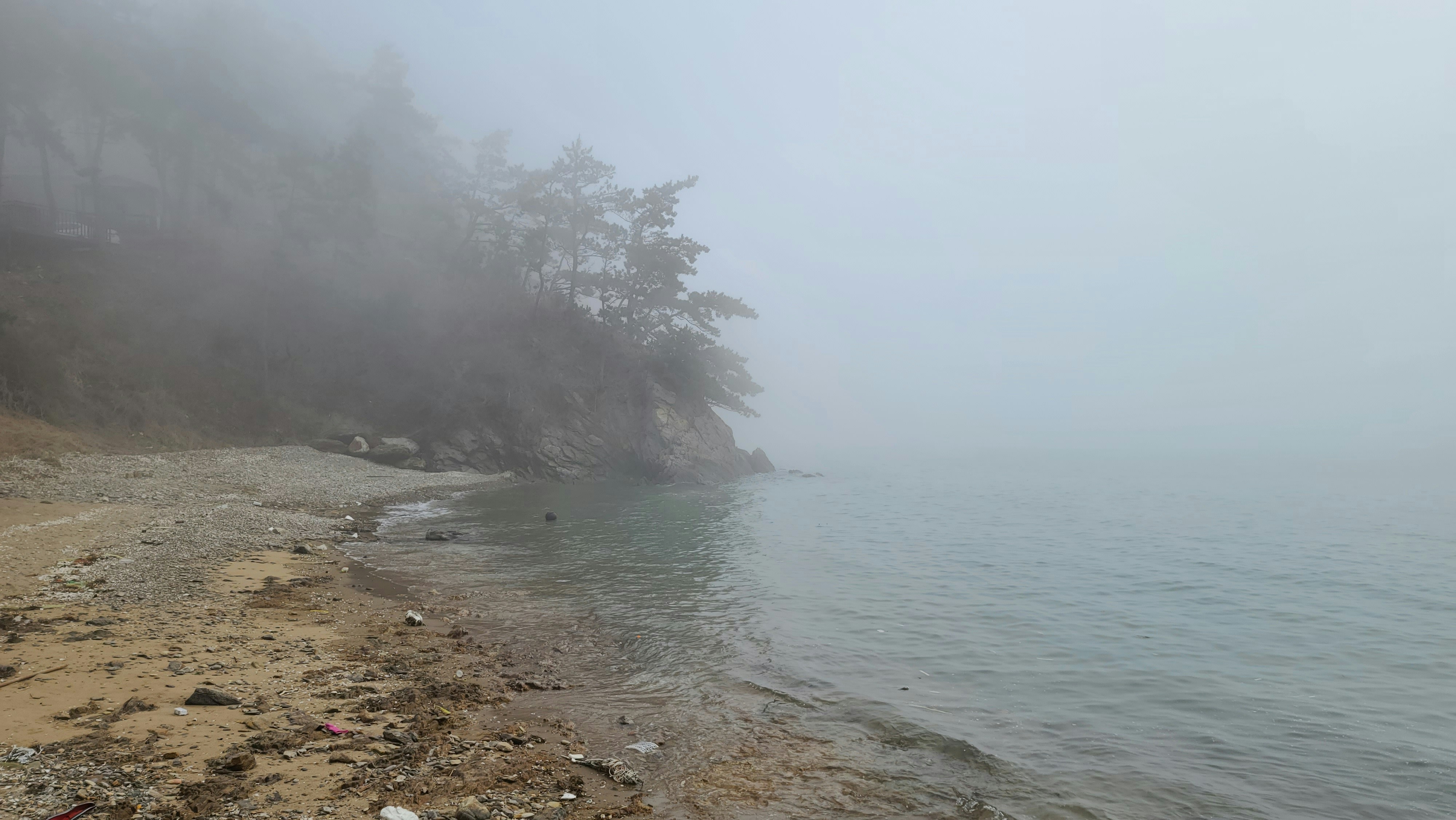 Mistbound Shoreline: Pebbles, Pines, and the Veil of the Lake