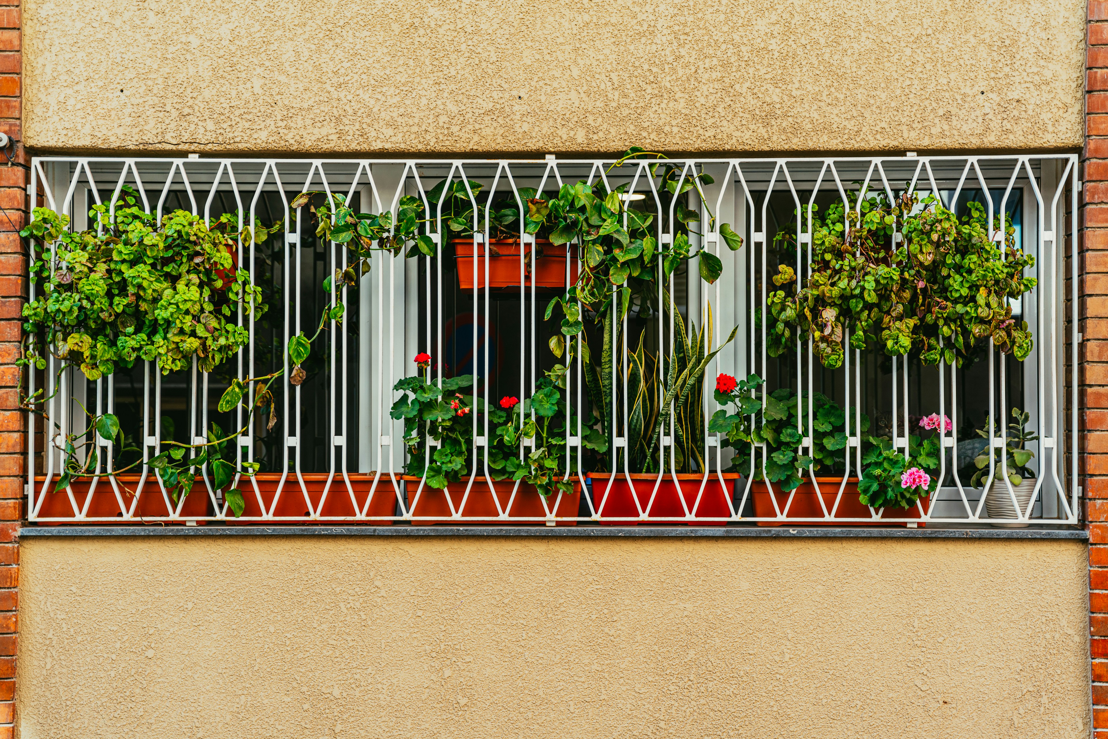 Photo by Oskar Kadaksoo with Sony Alpha 7R III