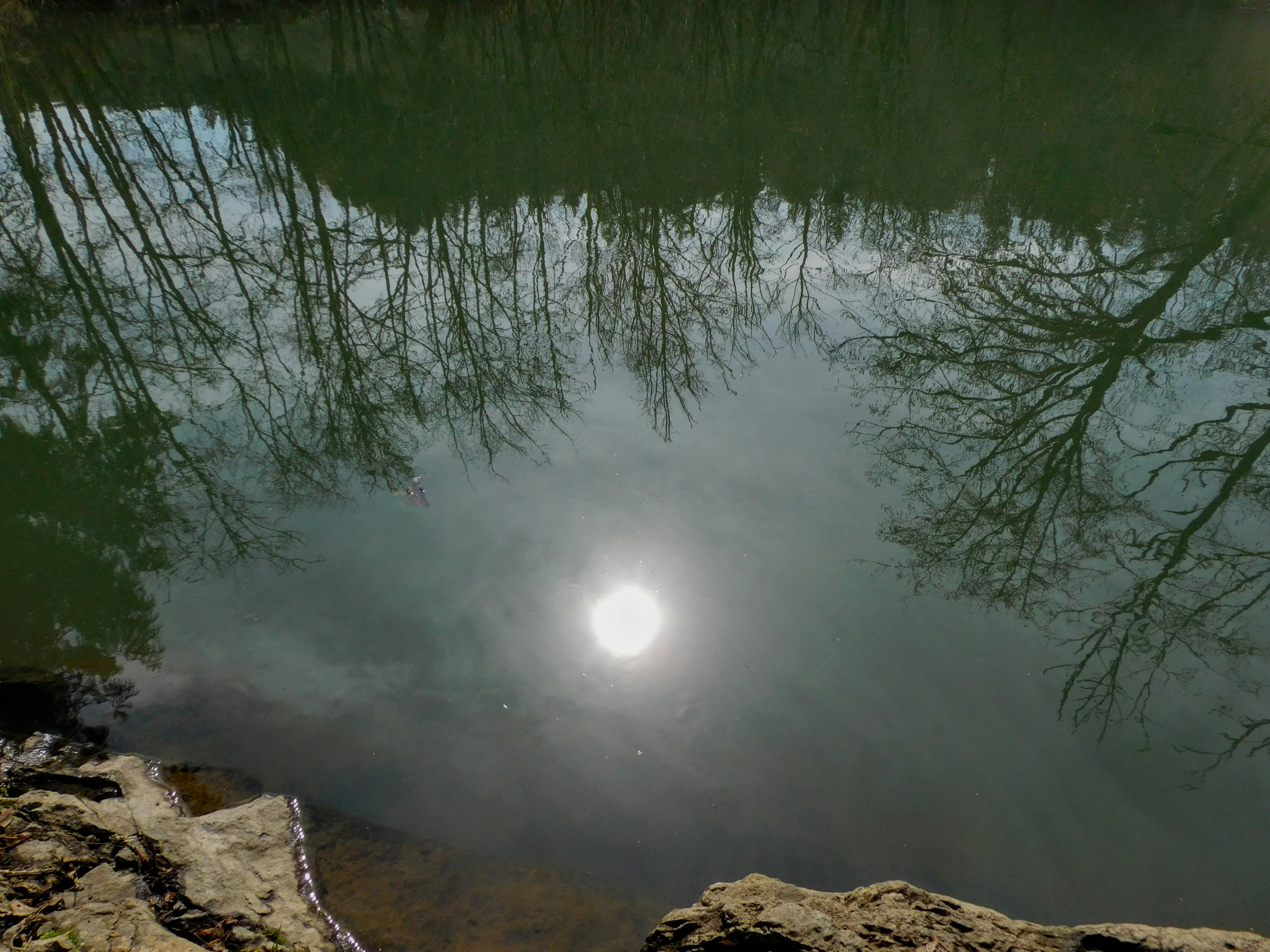 Photo by Peter Robbins with Minolta MN35Z