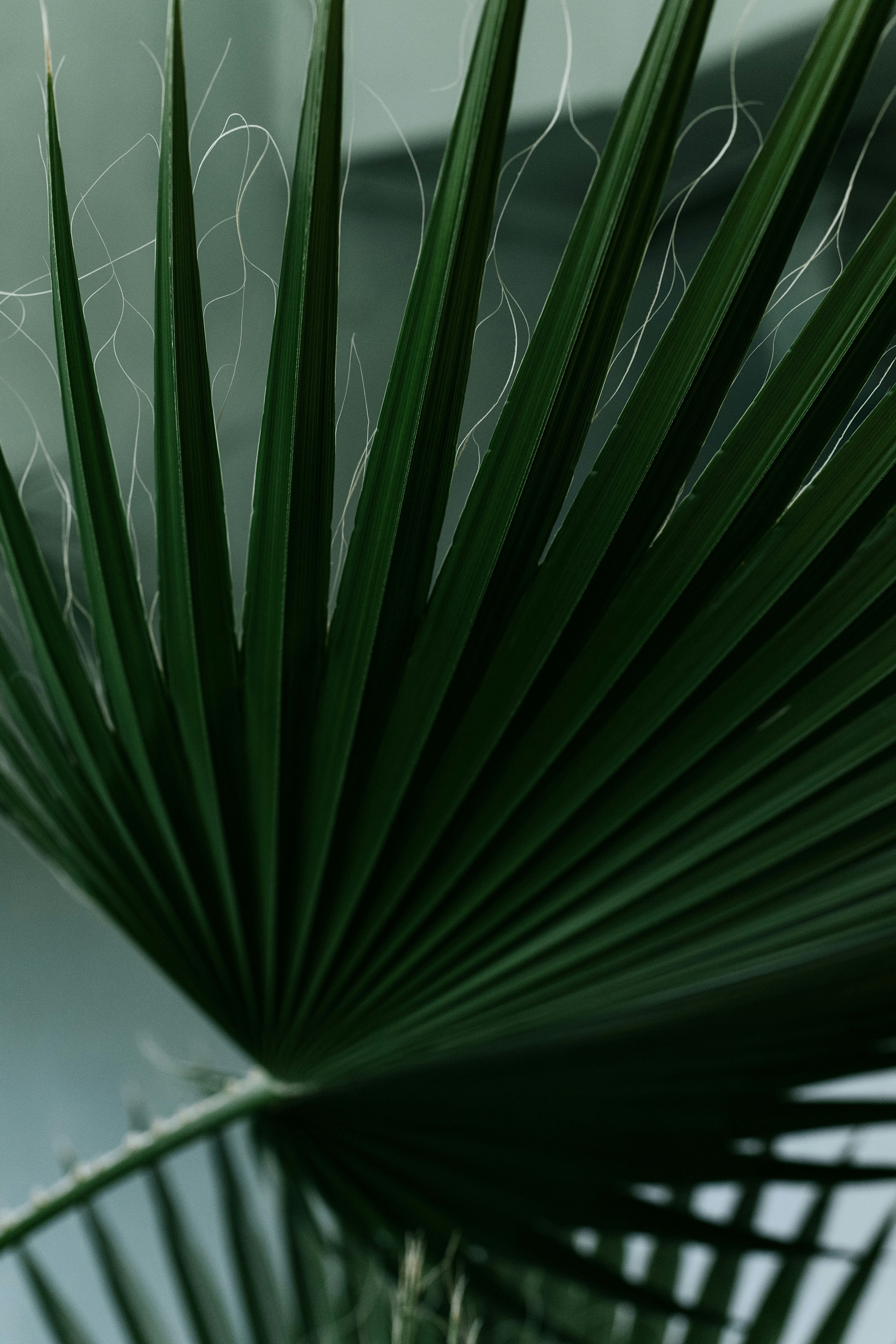 Photo by Volodymyr Yarossvit with Canon EOS RP