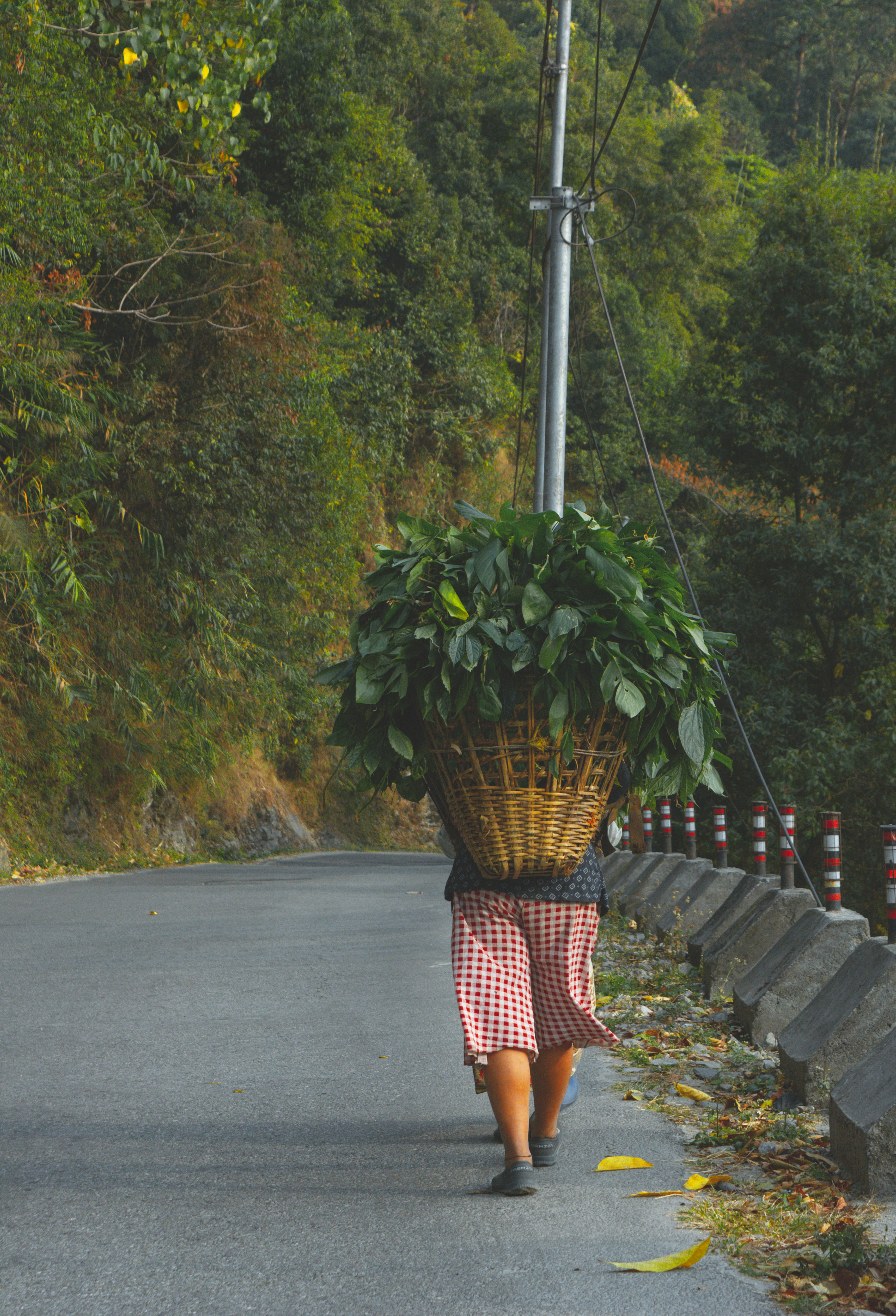 Photo by Huzaifa Ginwala with Nikon D5200