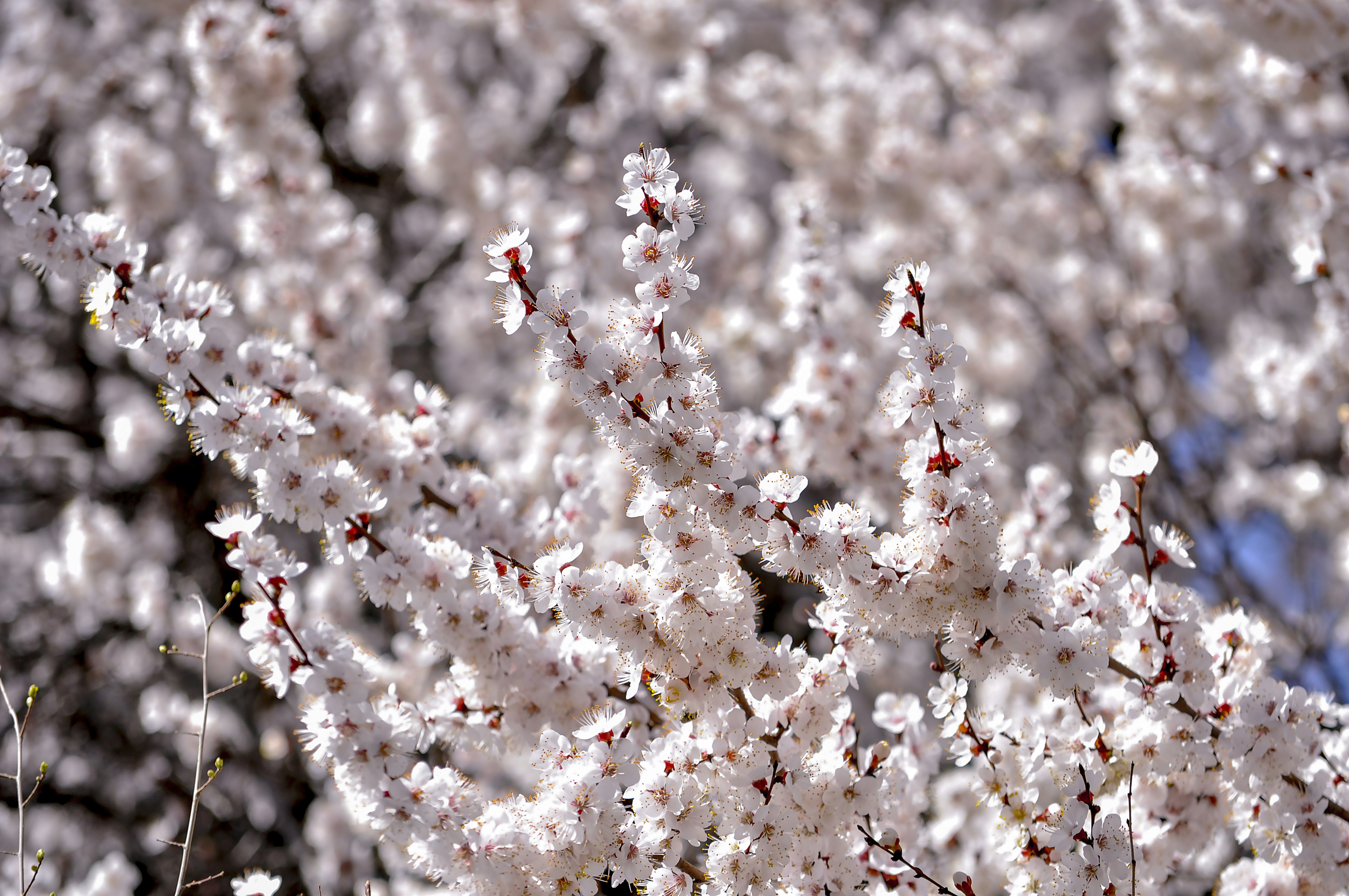 Photo by Isakov Eldiiar with Nikon D5000