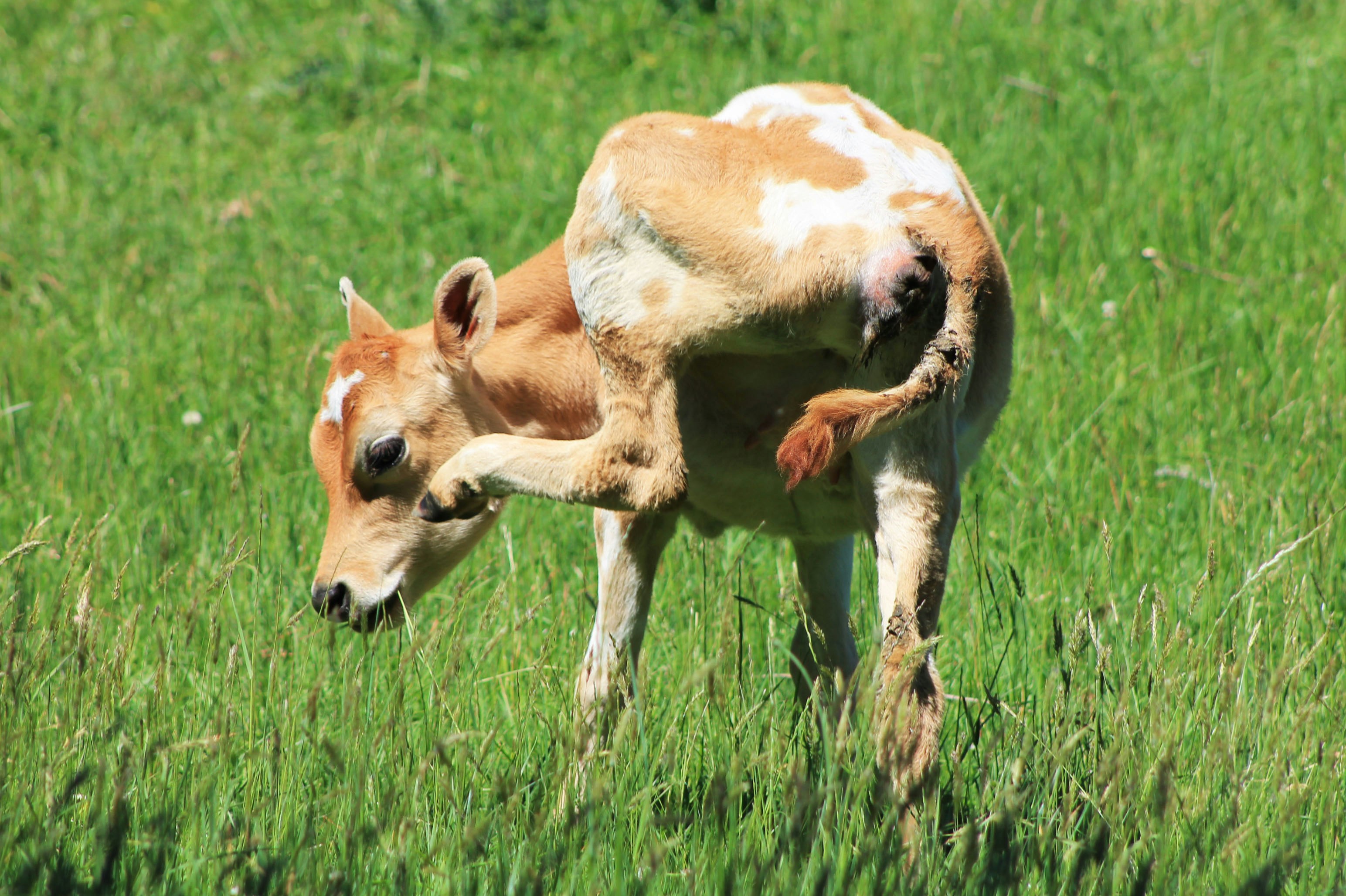 Photo by Leonie Clough with Canon EOS 1100D