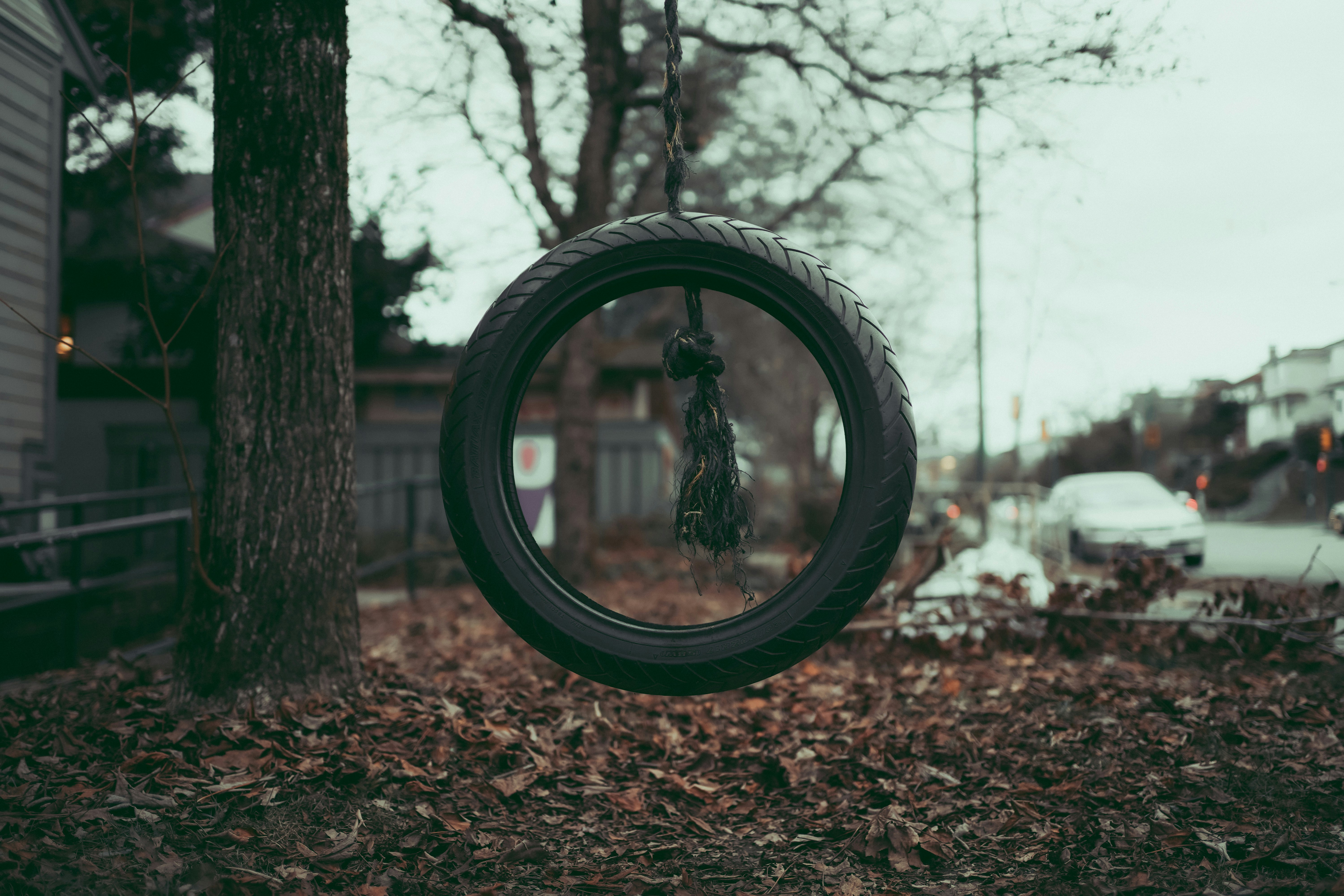 Autumn's Quiet Swing: Tire Hanging Over Leaf-Littered Ground