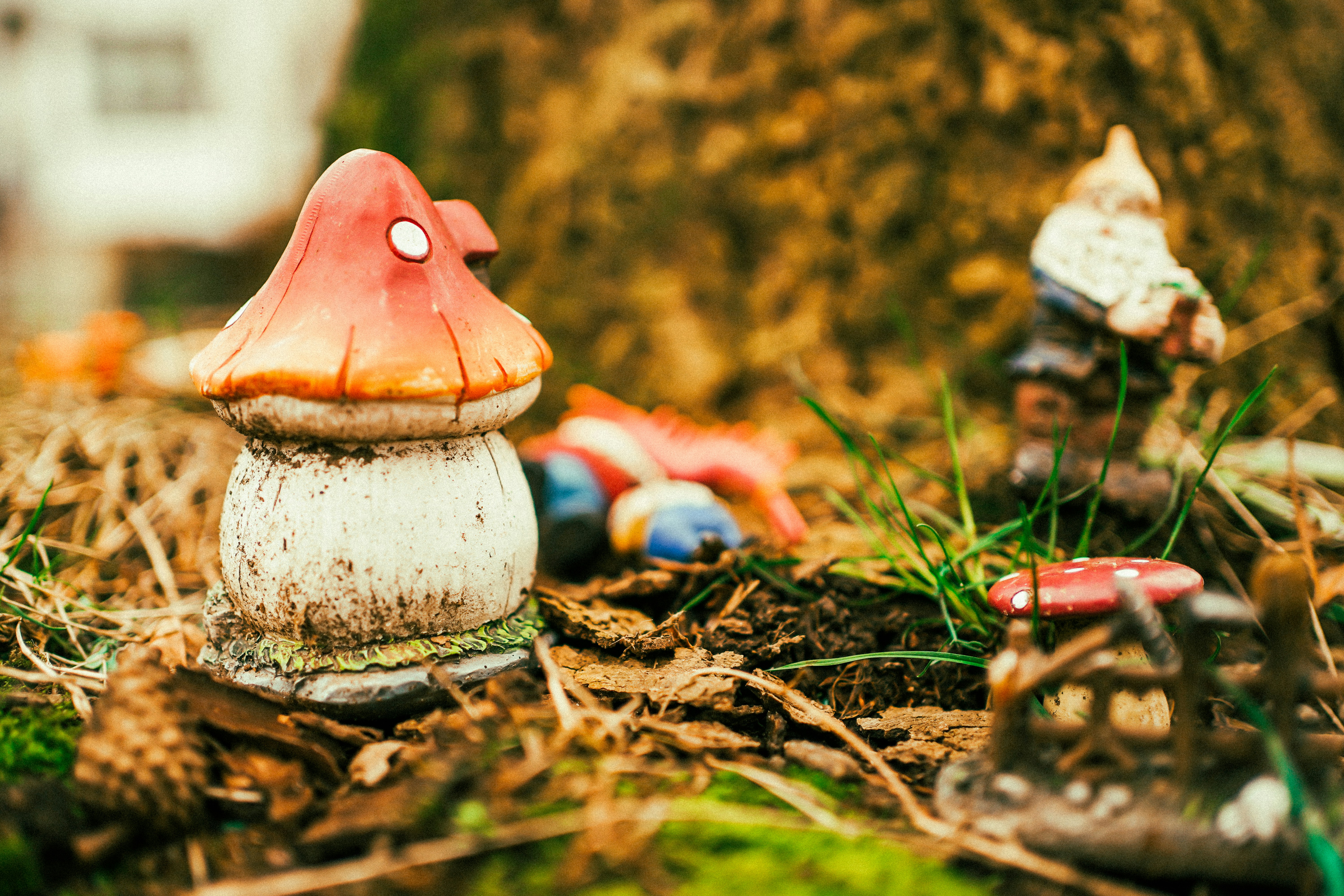 Crimson Mushroom Sentinel in a Quiet Autumn Patch