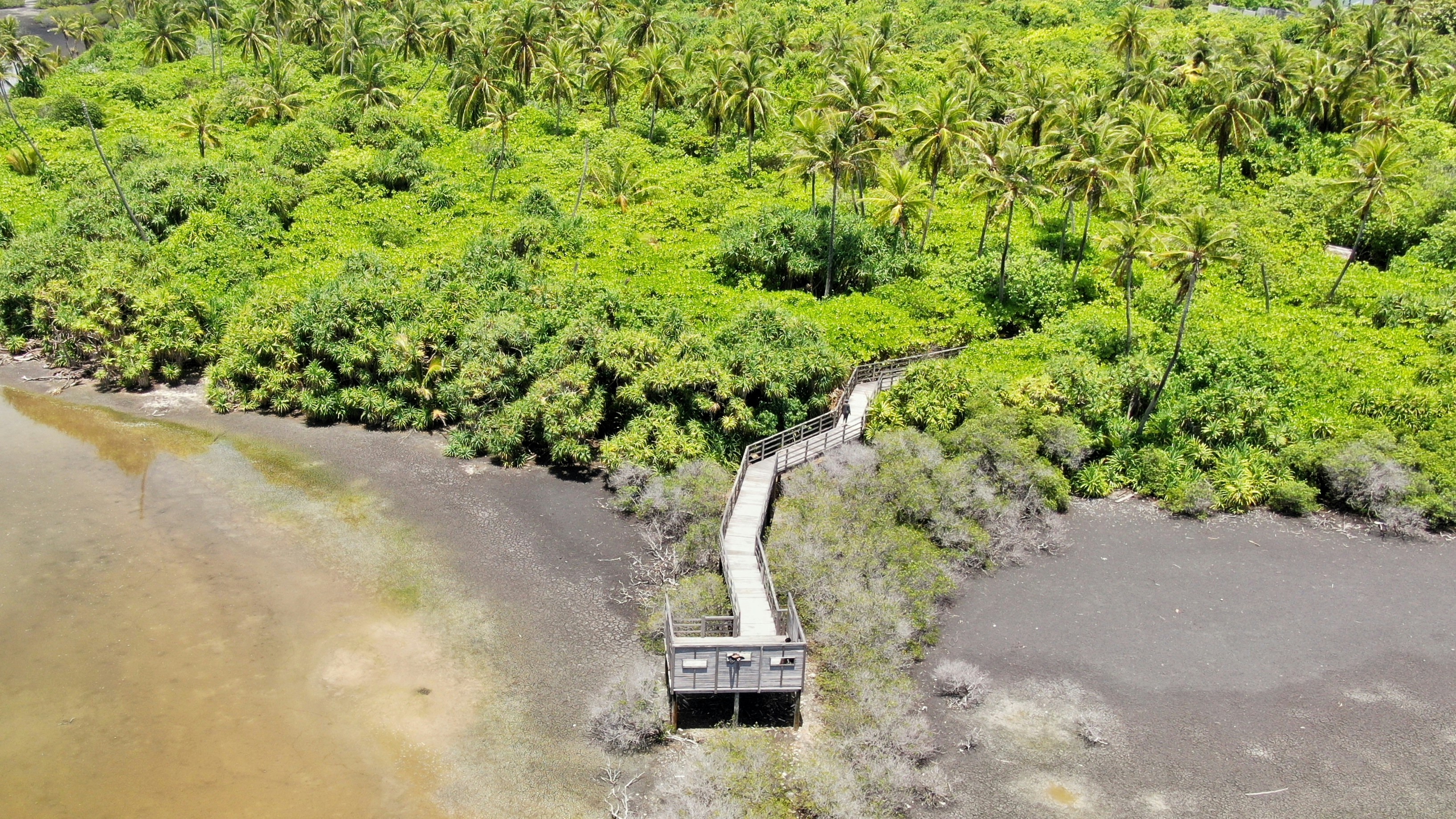 Wooden walkway winding through lush greenery towards a sandy beach.