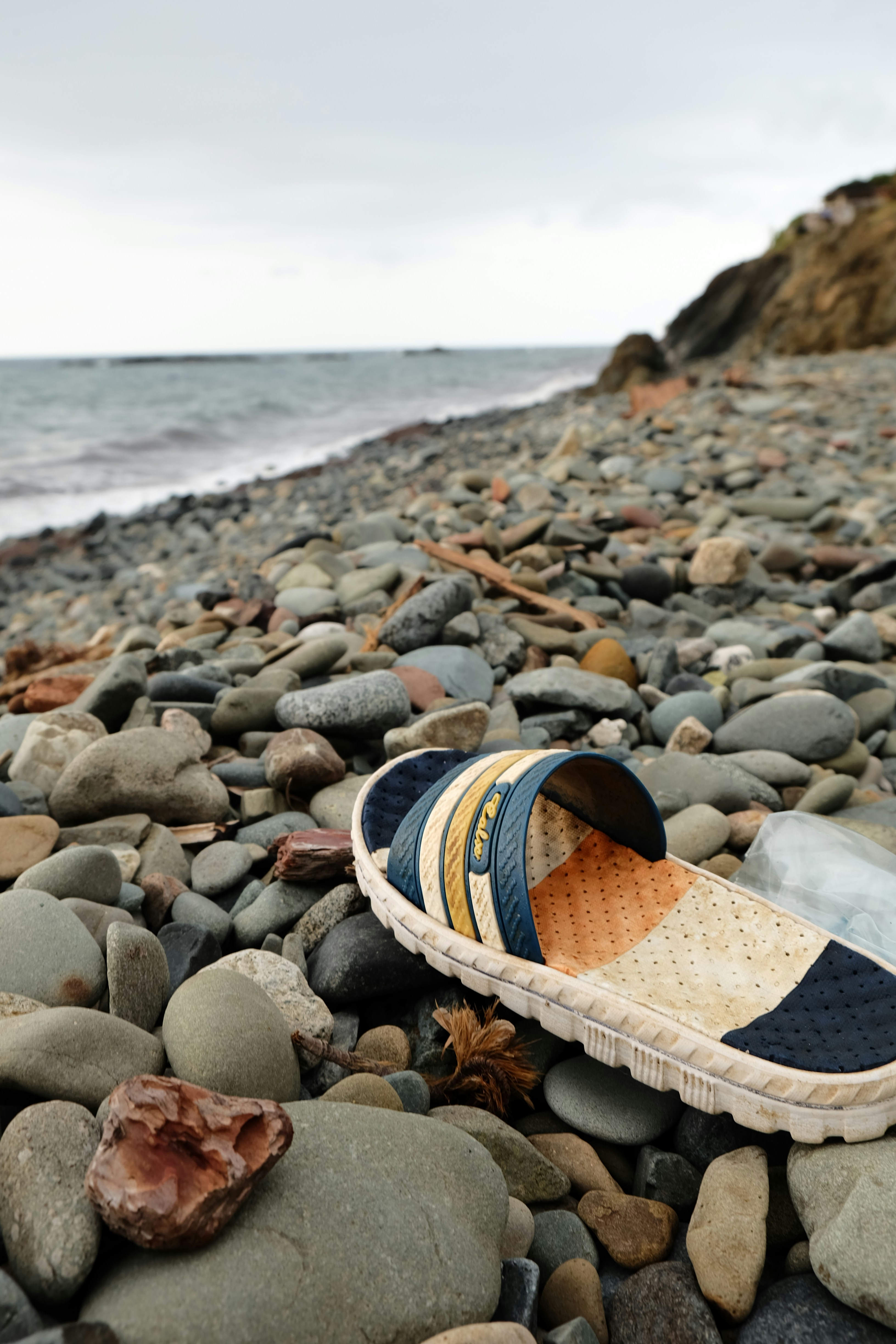 Solitary Surfshoe on a Pebble Shore
