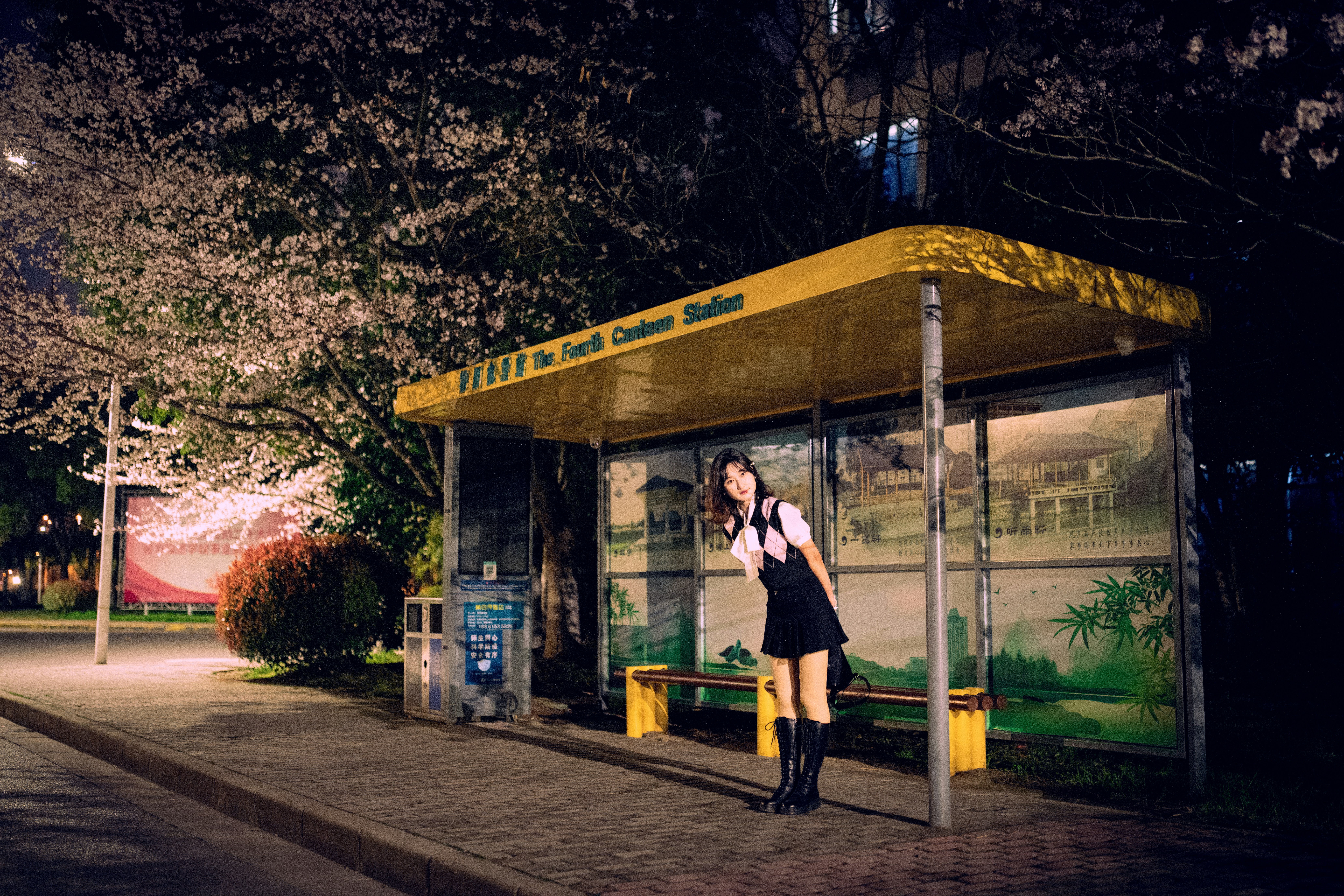 Midnight Stopover: A Quiet Portrait at the Bus Shelter