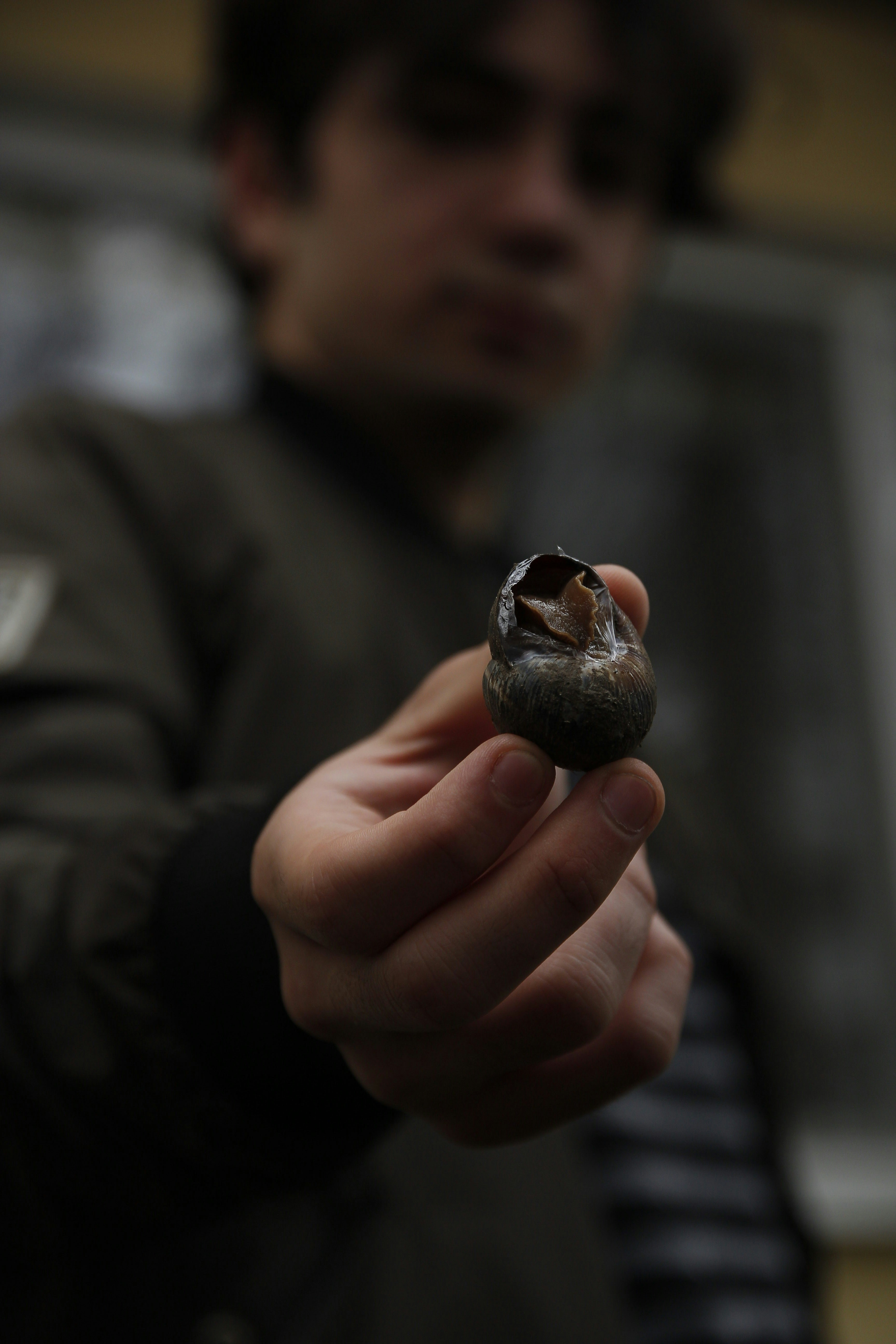 Fiery kernel of curiosity: a cracked chestnut held toward the lens