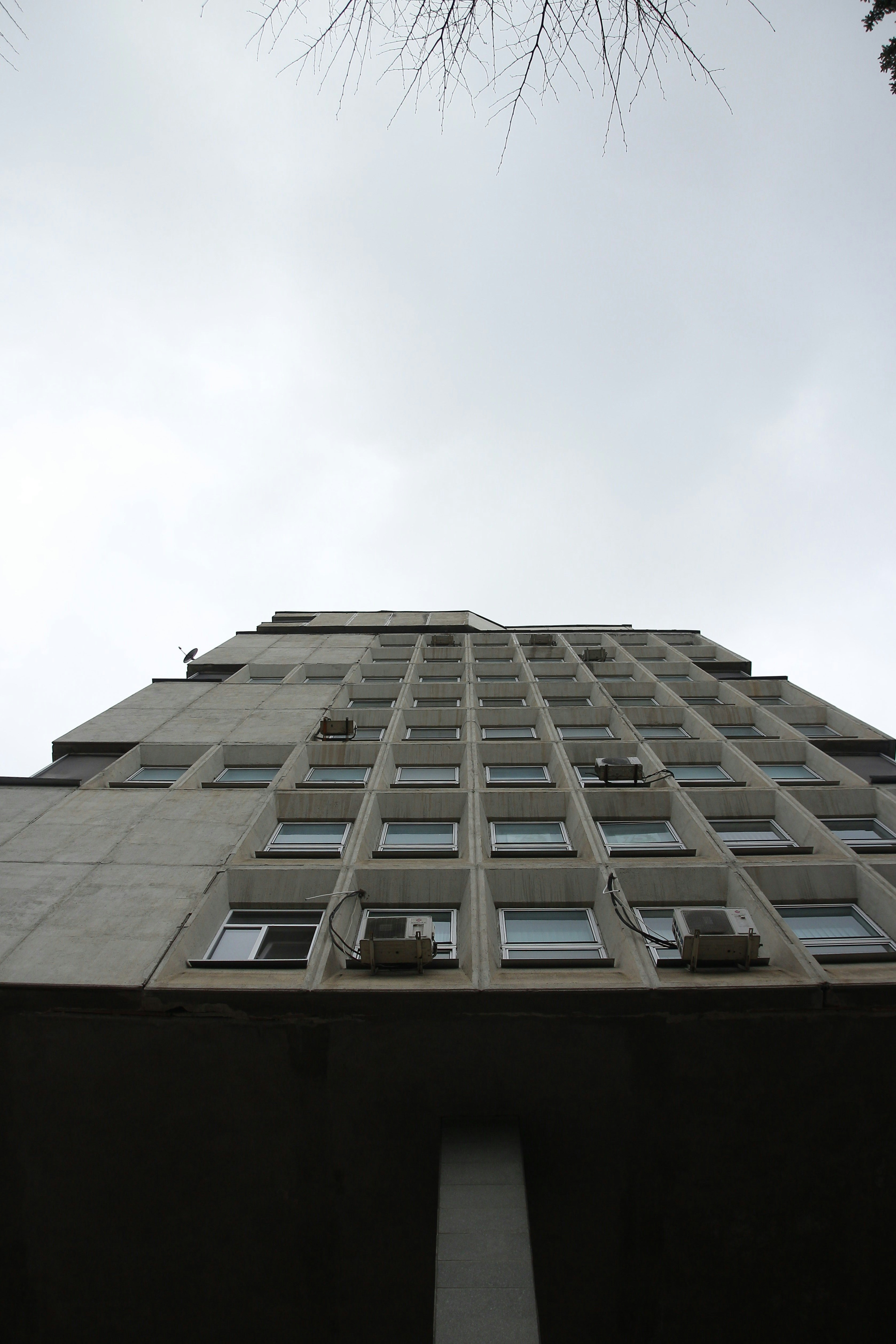 Toward the Sky: A Concrete Facade Reaches for Height
