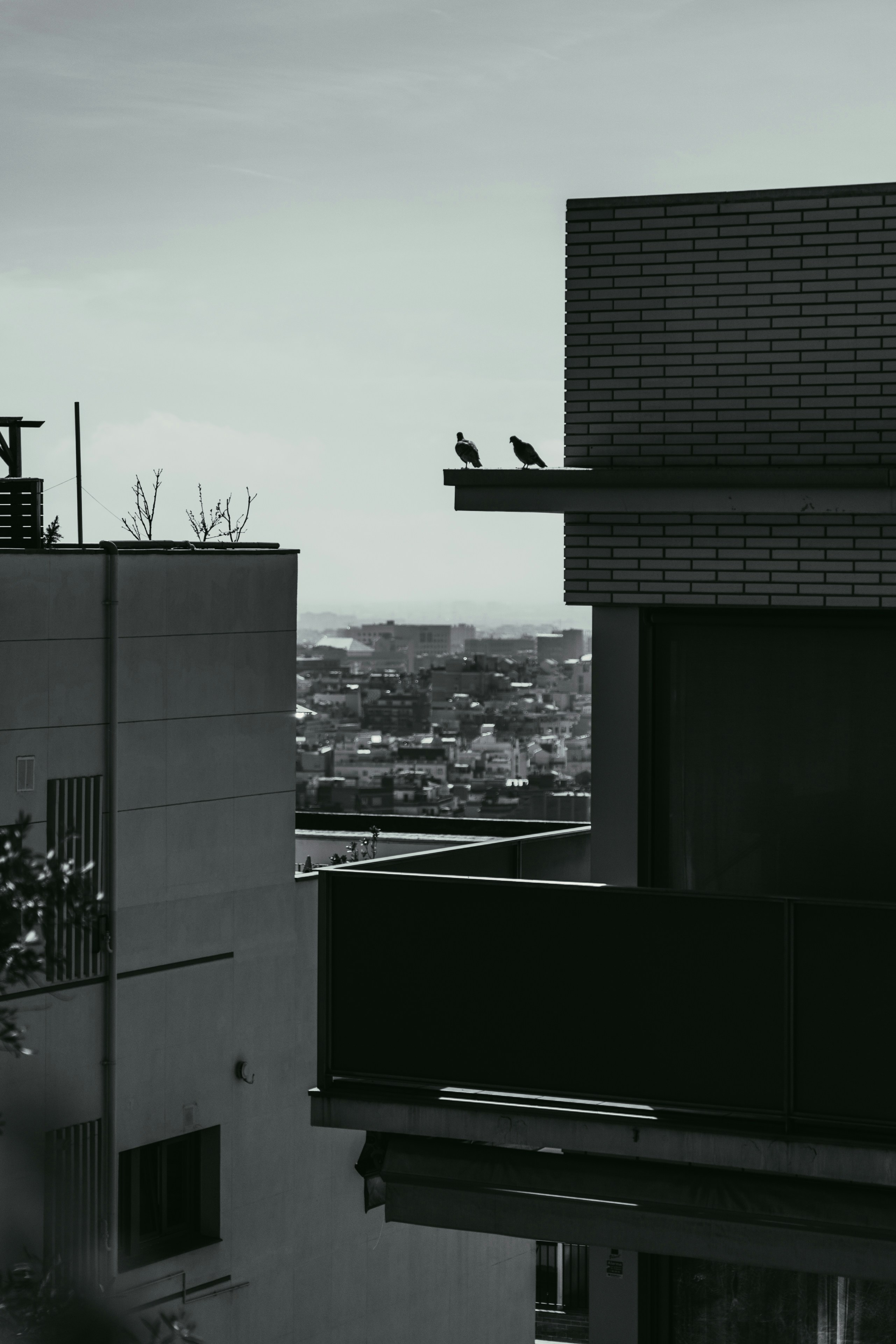 Photo by Oskar Kadaksoo with Sony Alpha 7R III