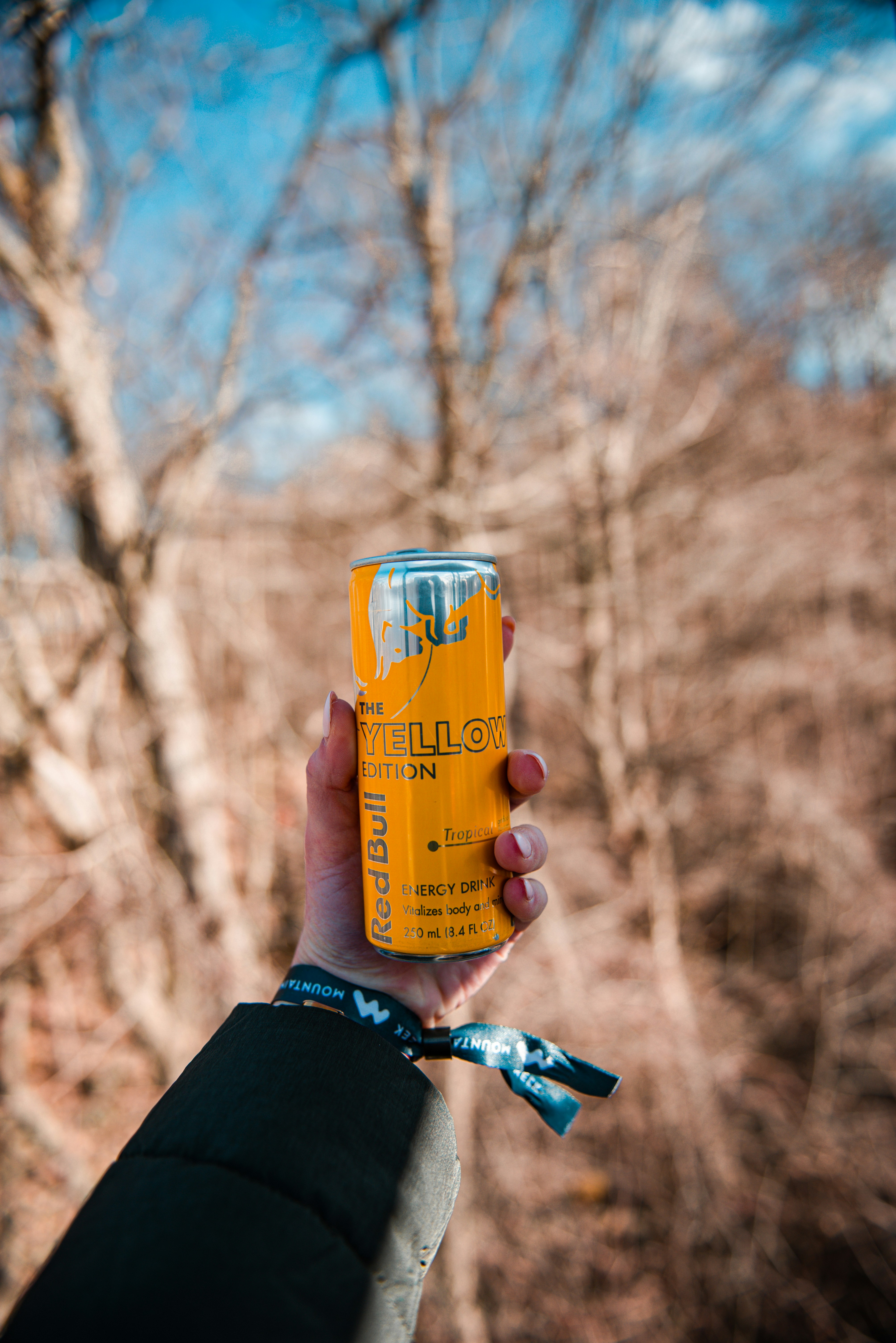 Citrus Neon in Winter Light: A Handful of Yellow Energy
