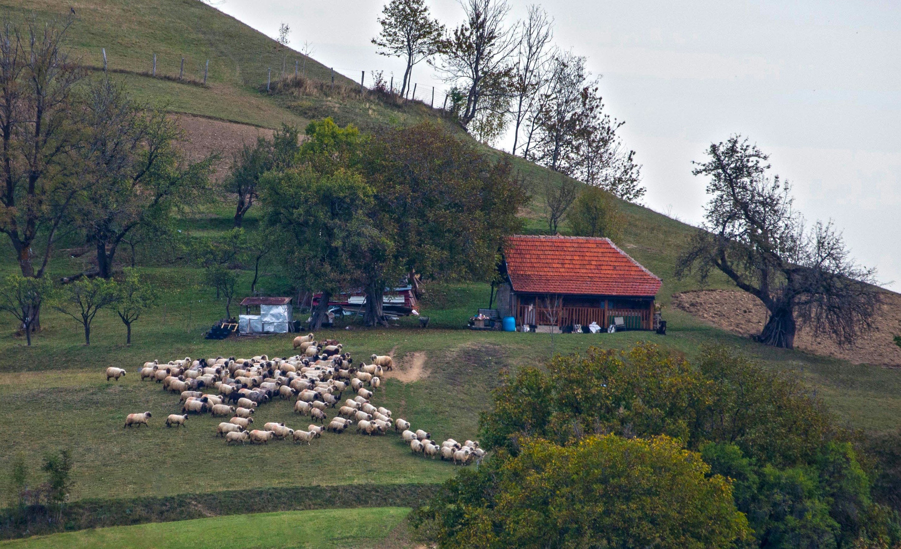 Photo by Marian Strinoiu with Nikon D610