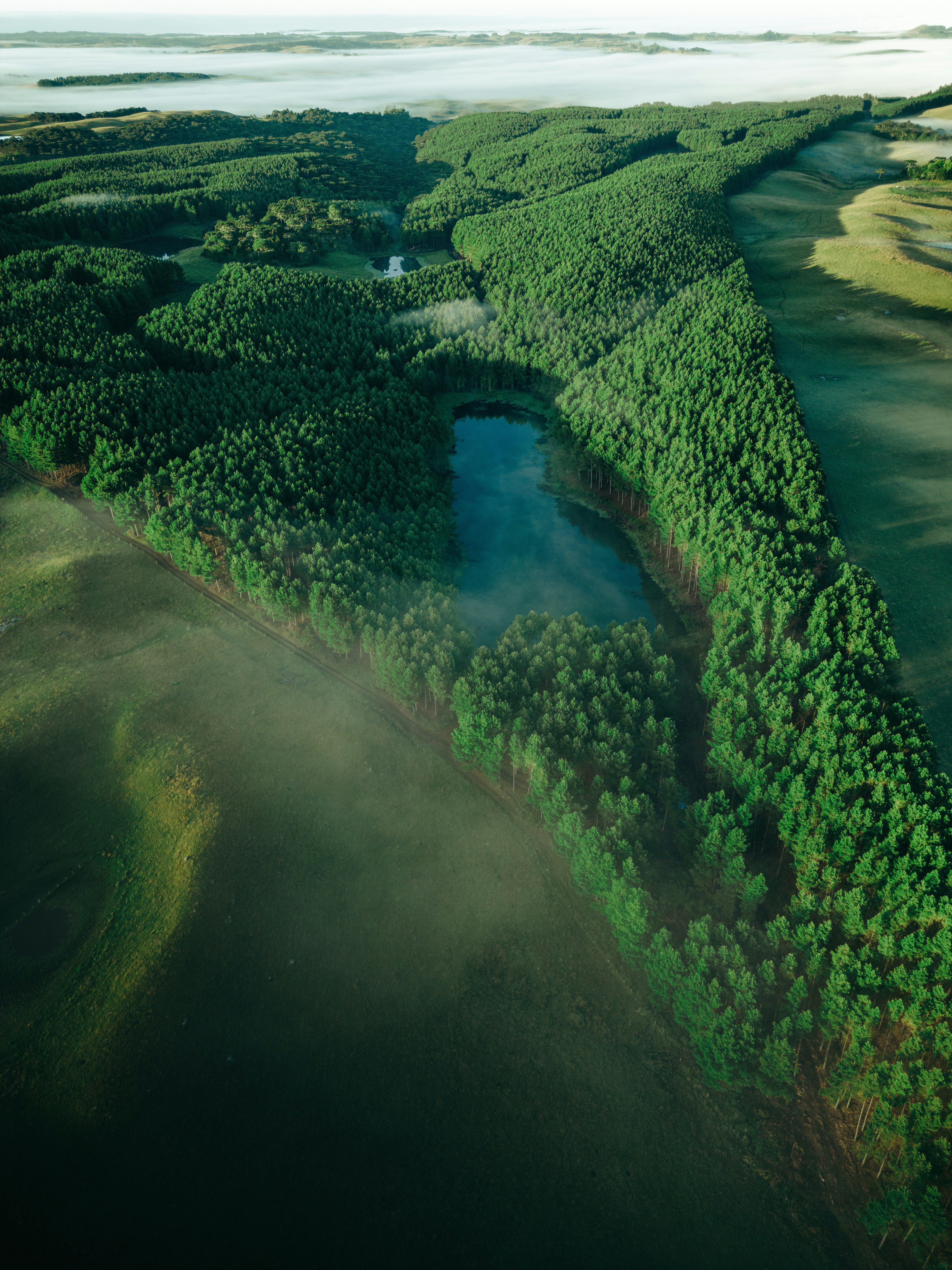 An aerial view of a river surrounded by trees photo – Free Land Image ...