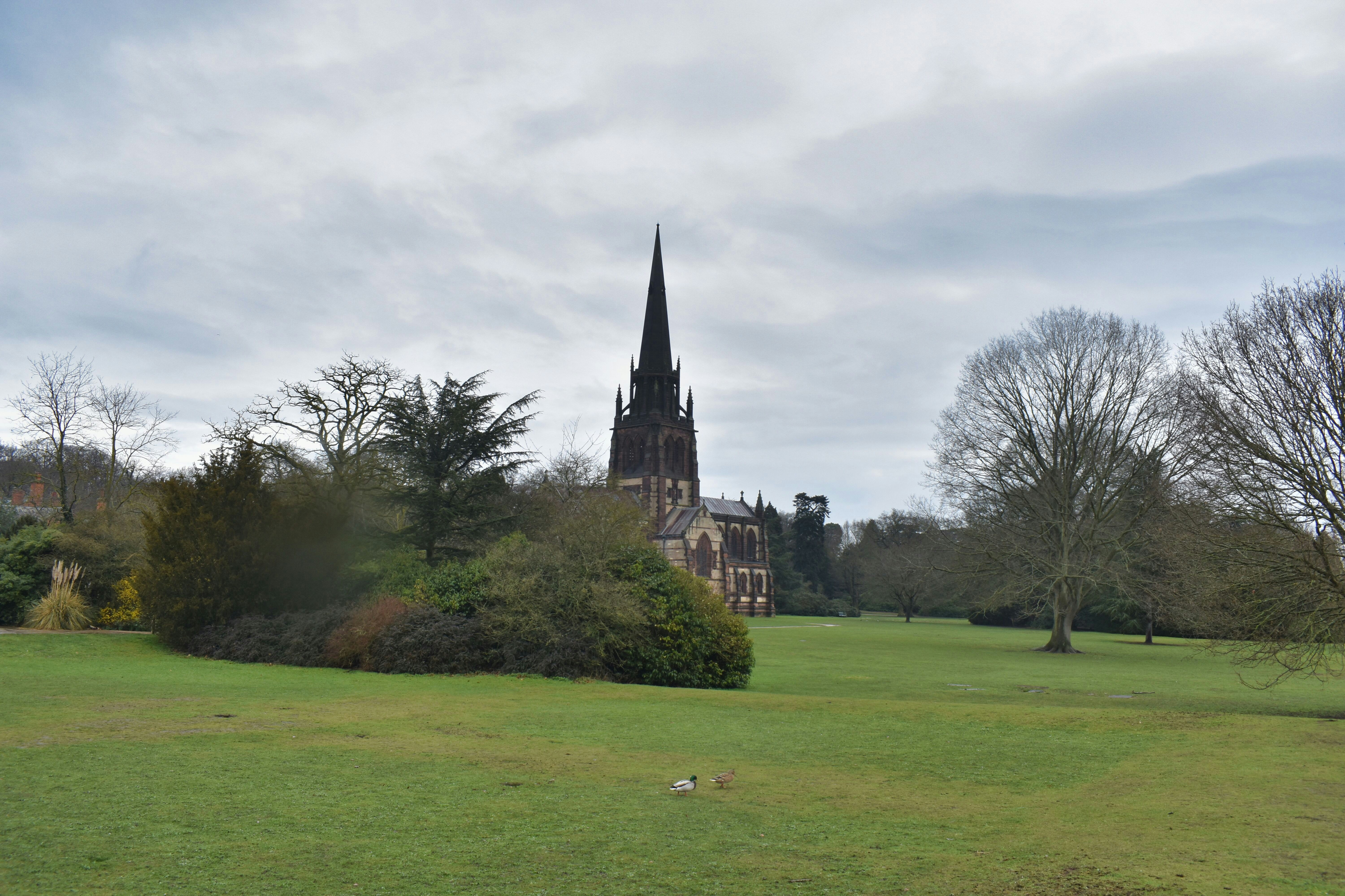 Gothic spire rising above a tranquil park