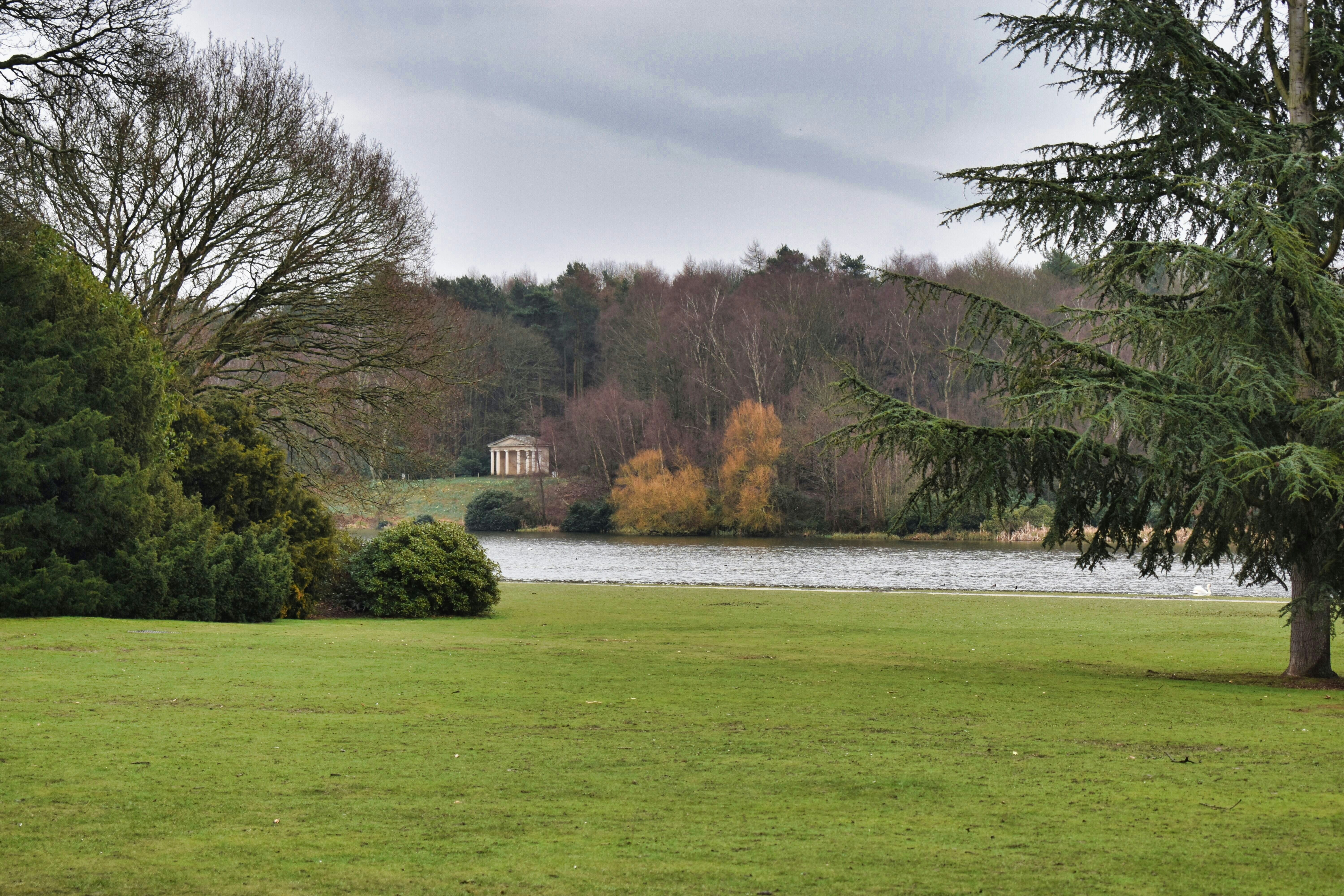Ein großes Feld mit Bäumen und einem See im Hintergrund Foto ...
