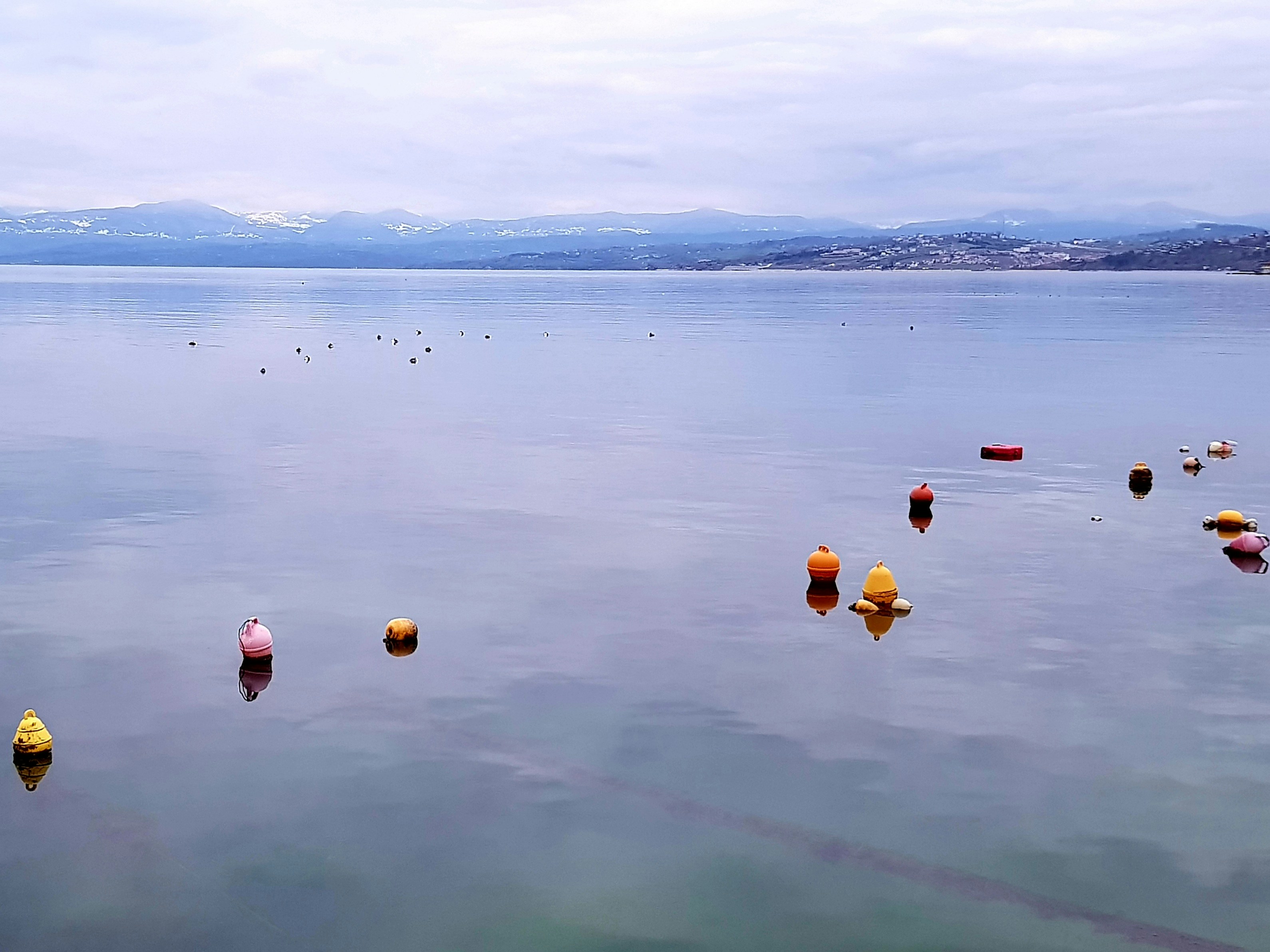 A large body of water with a bunch of buoys floating in it photo – Free ...