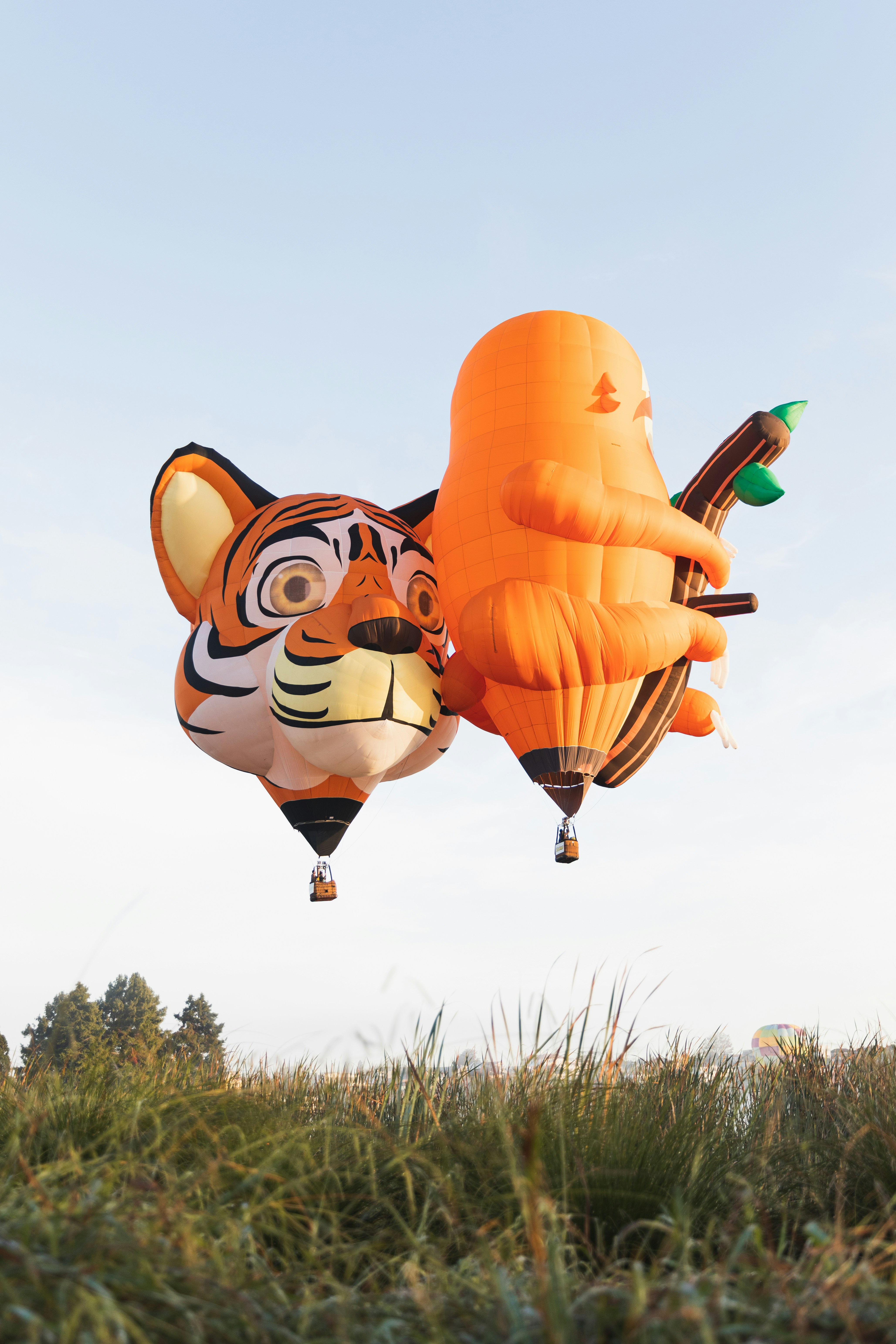 A couple of balloons that are in the air photo – Free Hamilton Image on ...