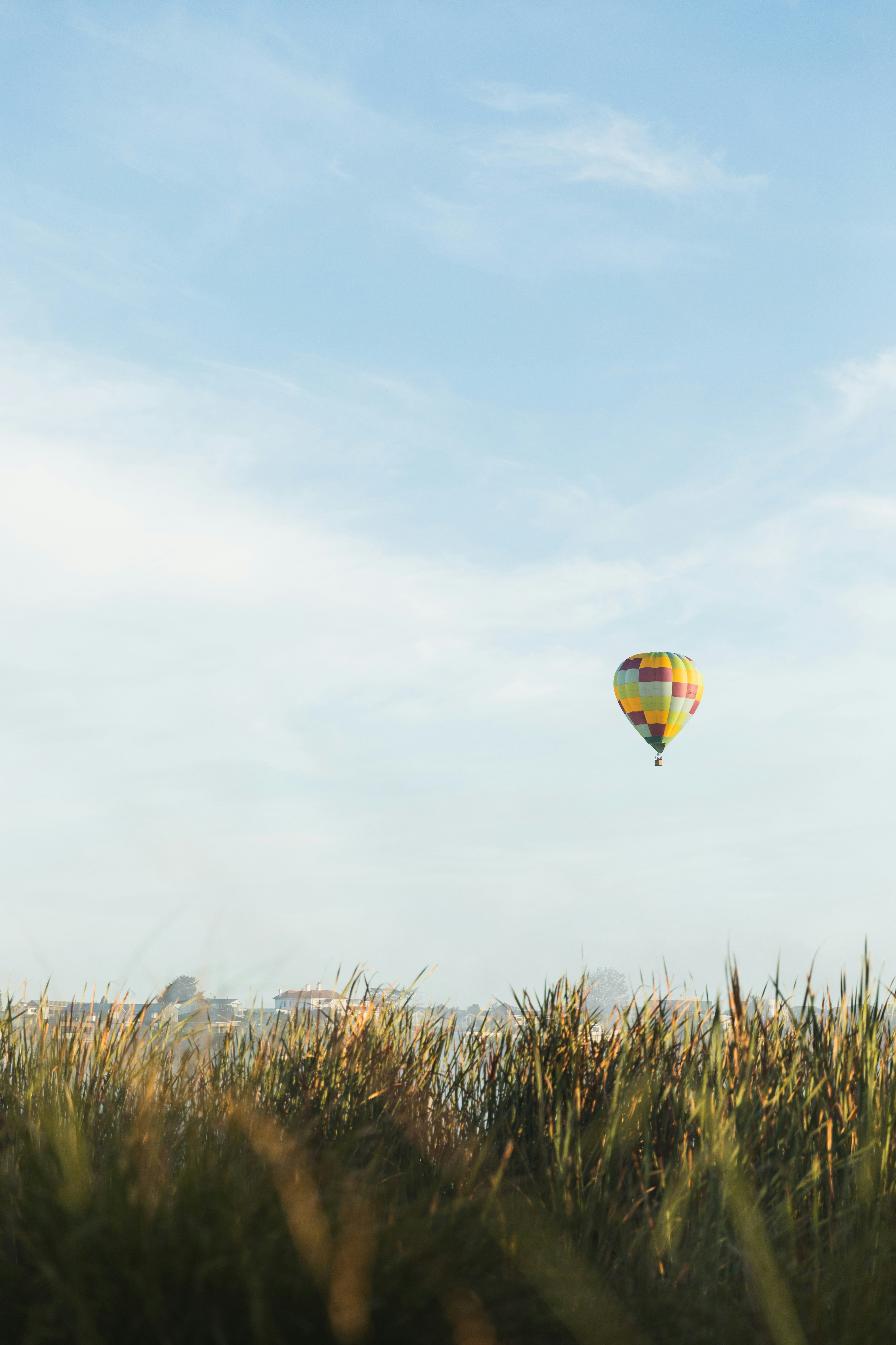 A hot air balloon flying over a lush green field photo – Free Hamilton ...