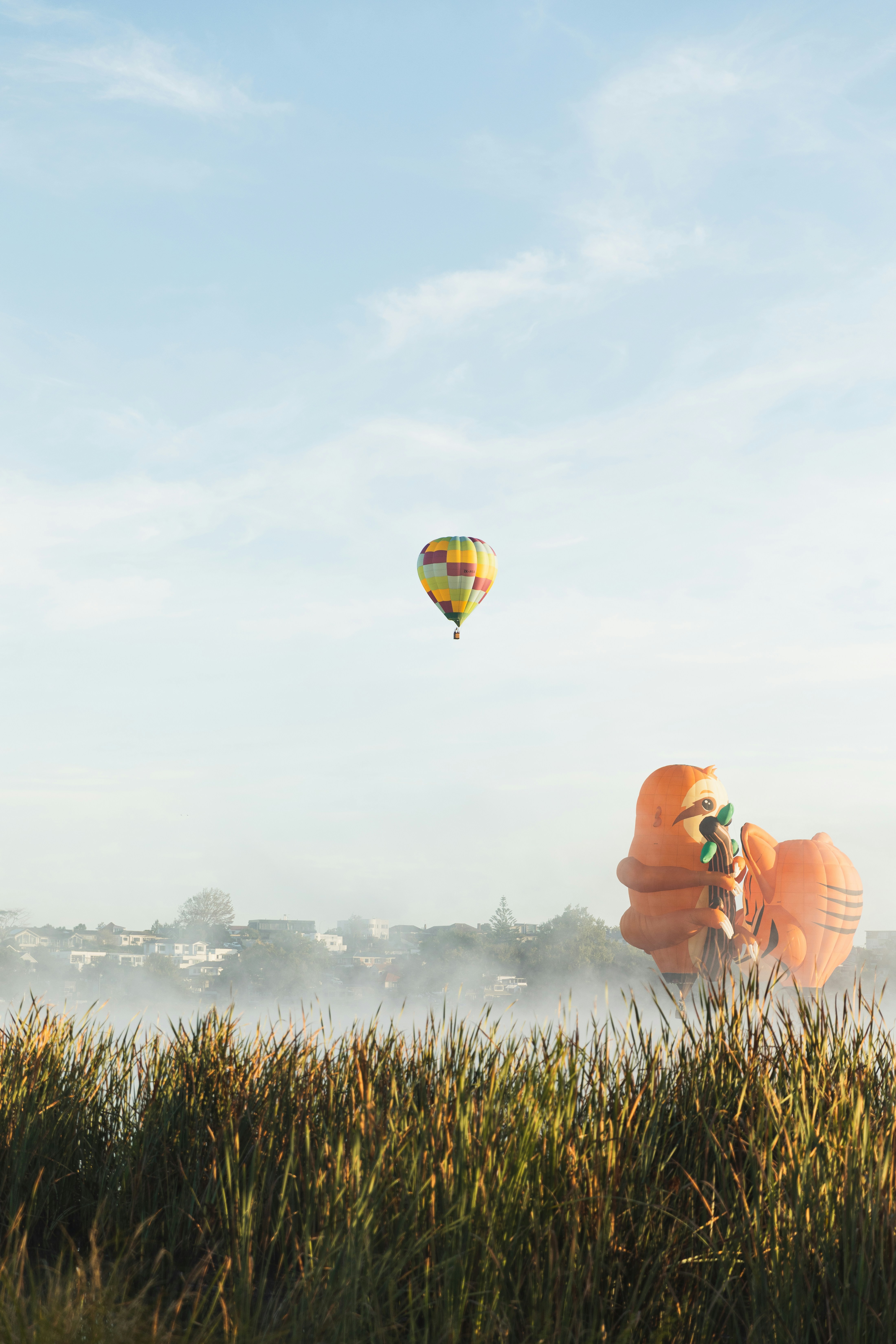 A couple of hot air balloons flying over a lush green field photo ...
