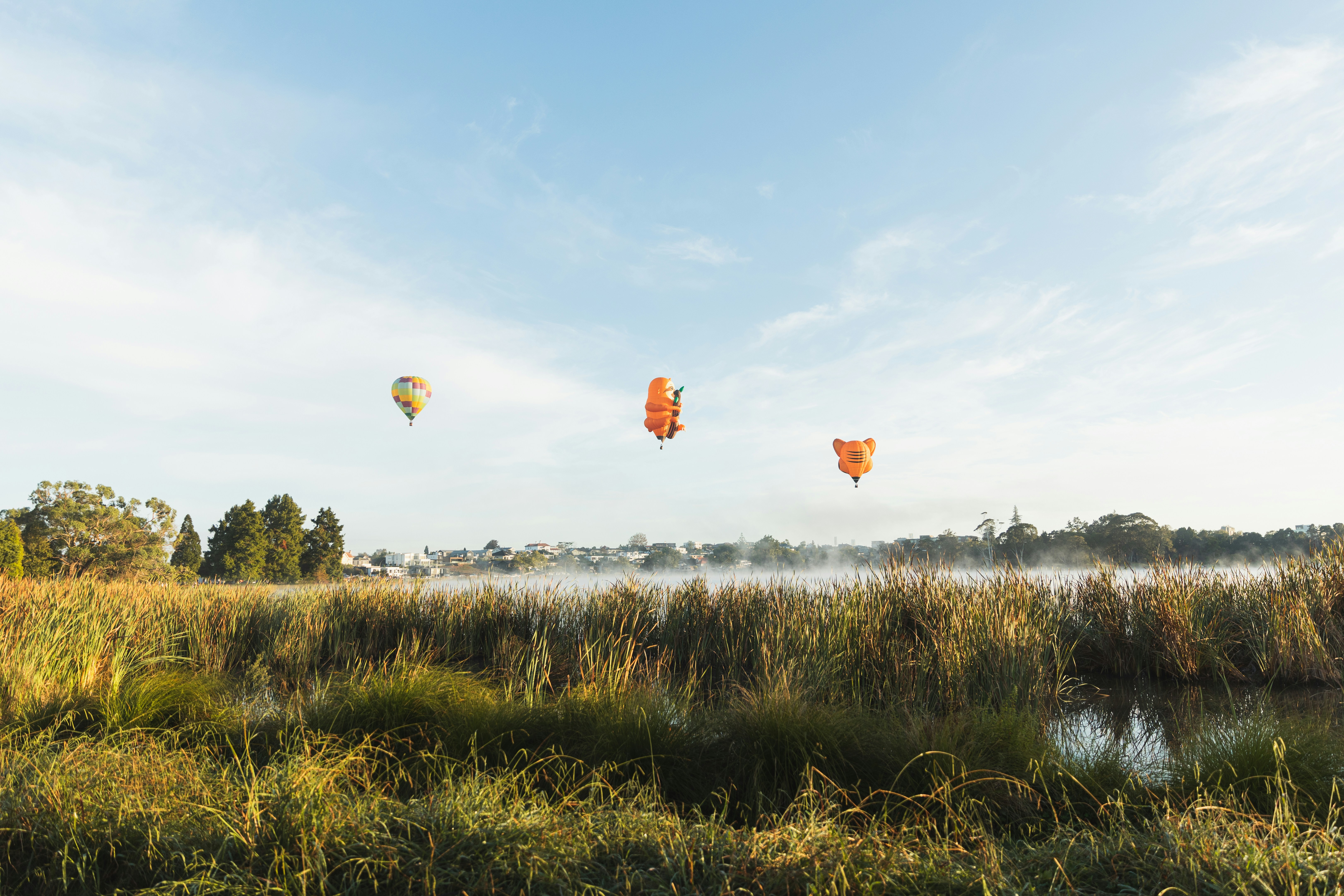Aerial Balloons over Misty Marsh at Sunlit Dawn