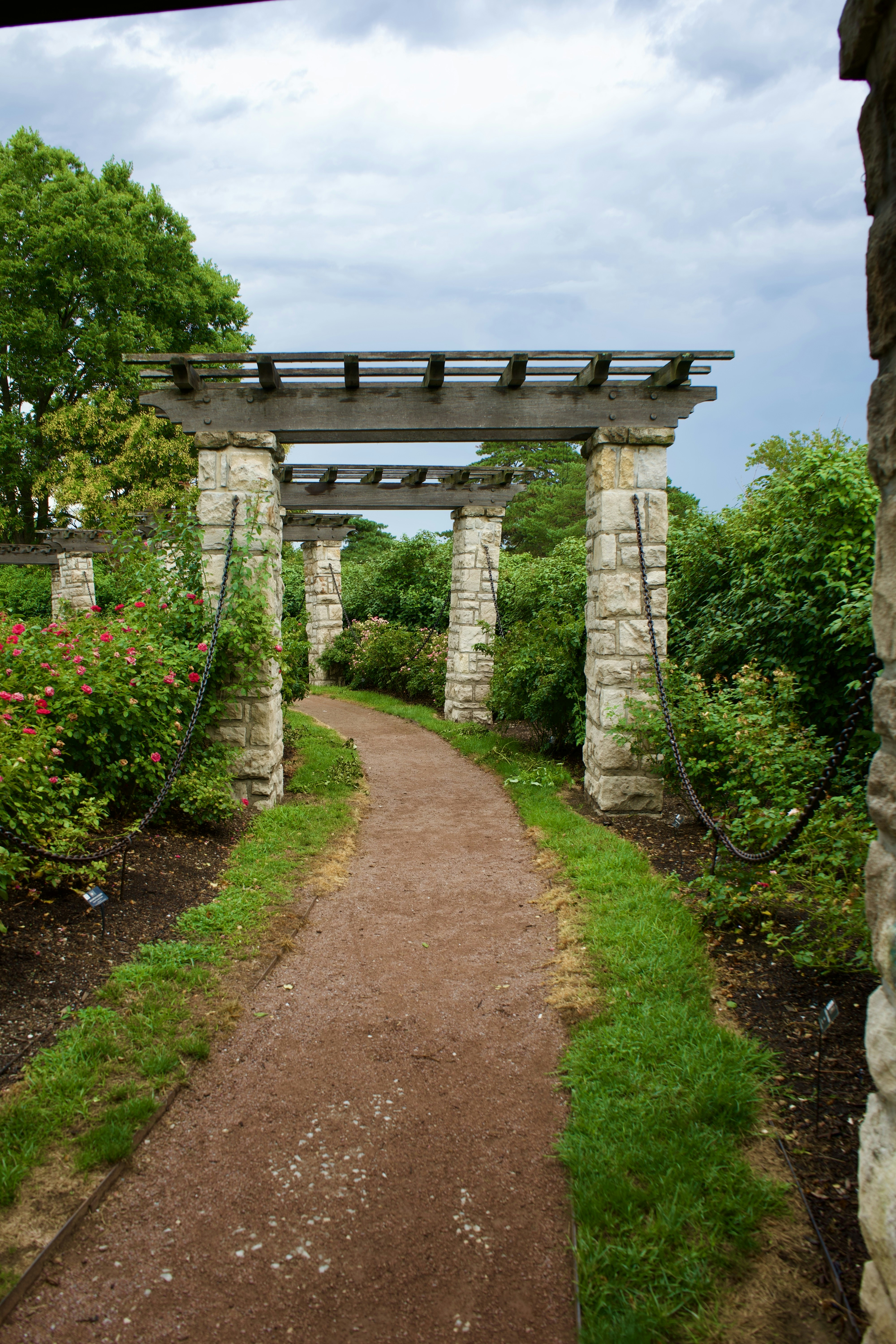 Following the dirt path among the roses!
