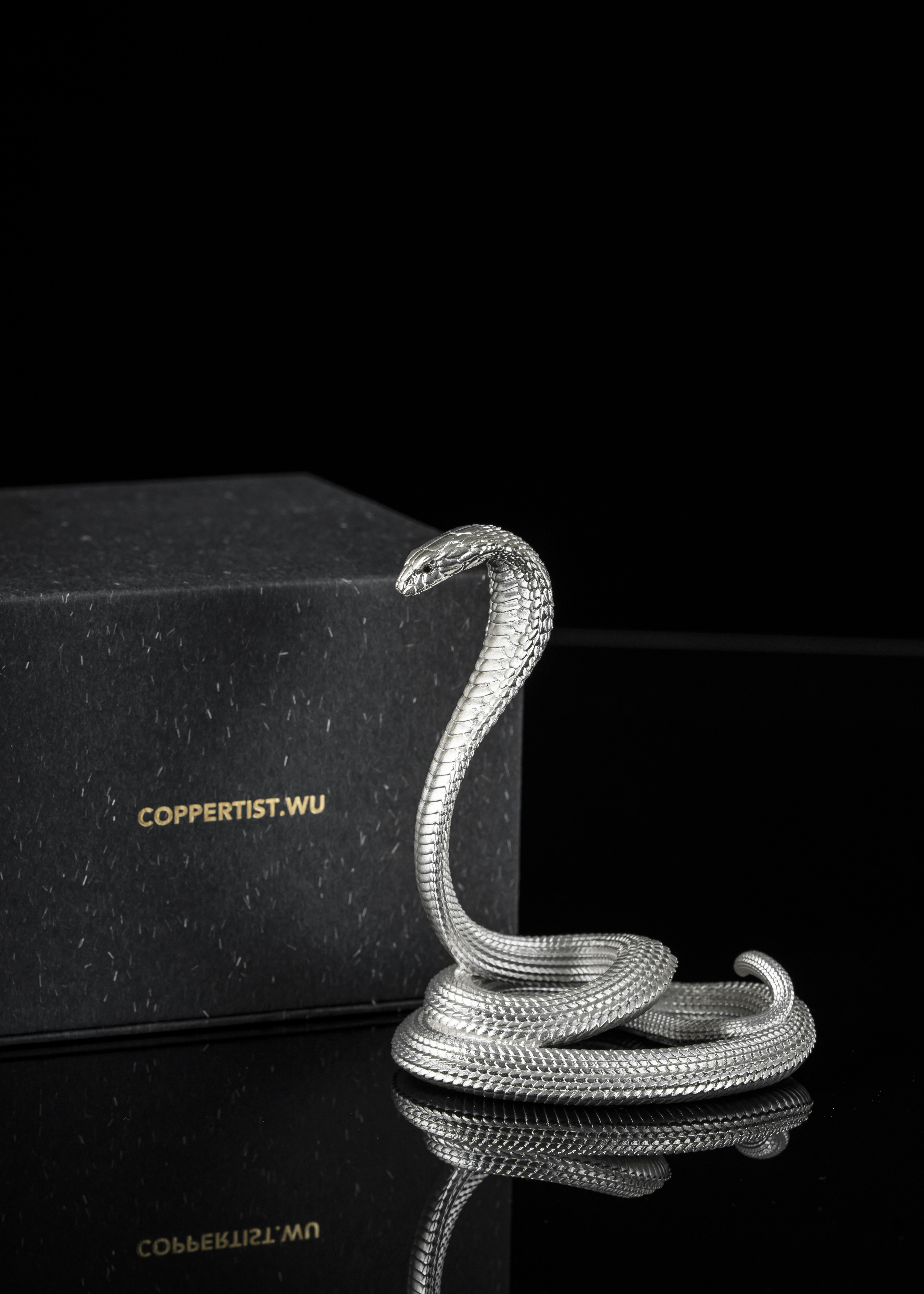 A silver snake sitting on top of a table photo – Free Animal Image on ...