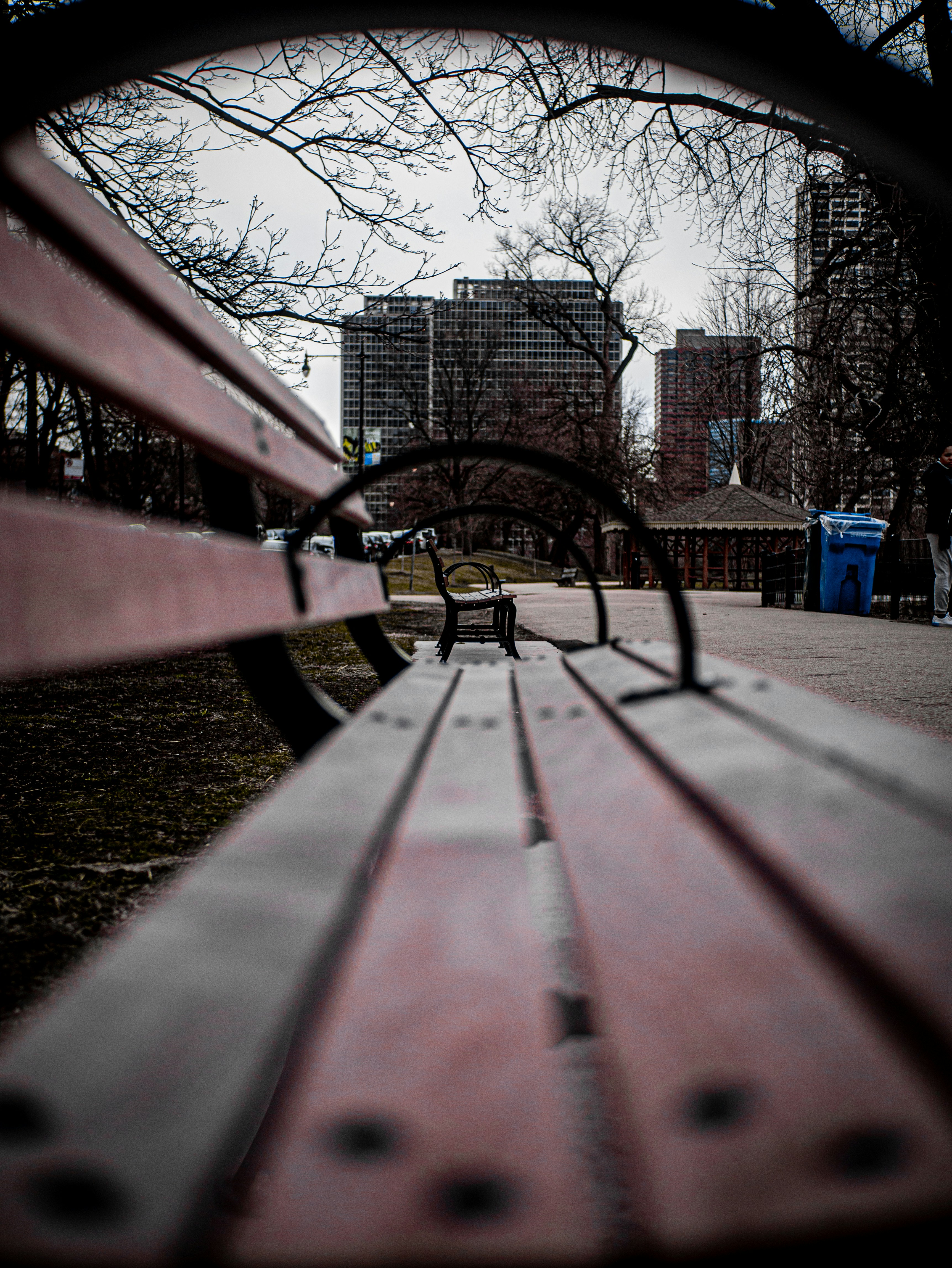 a close up of a bench in a park