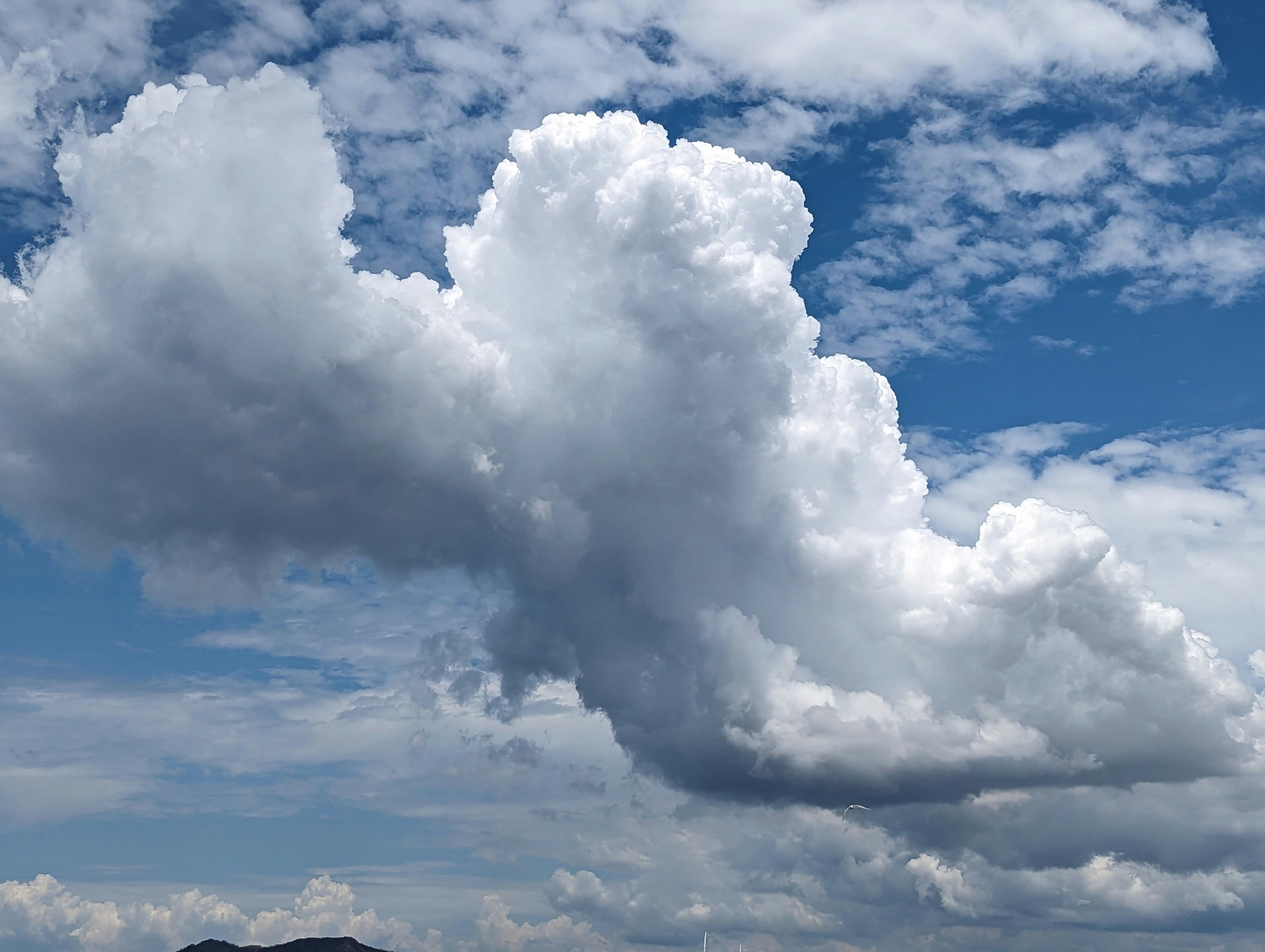 Photo by Barry Weston with Google Pixel 7