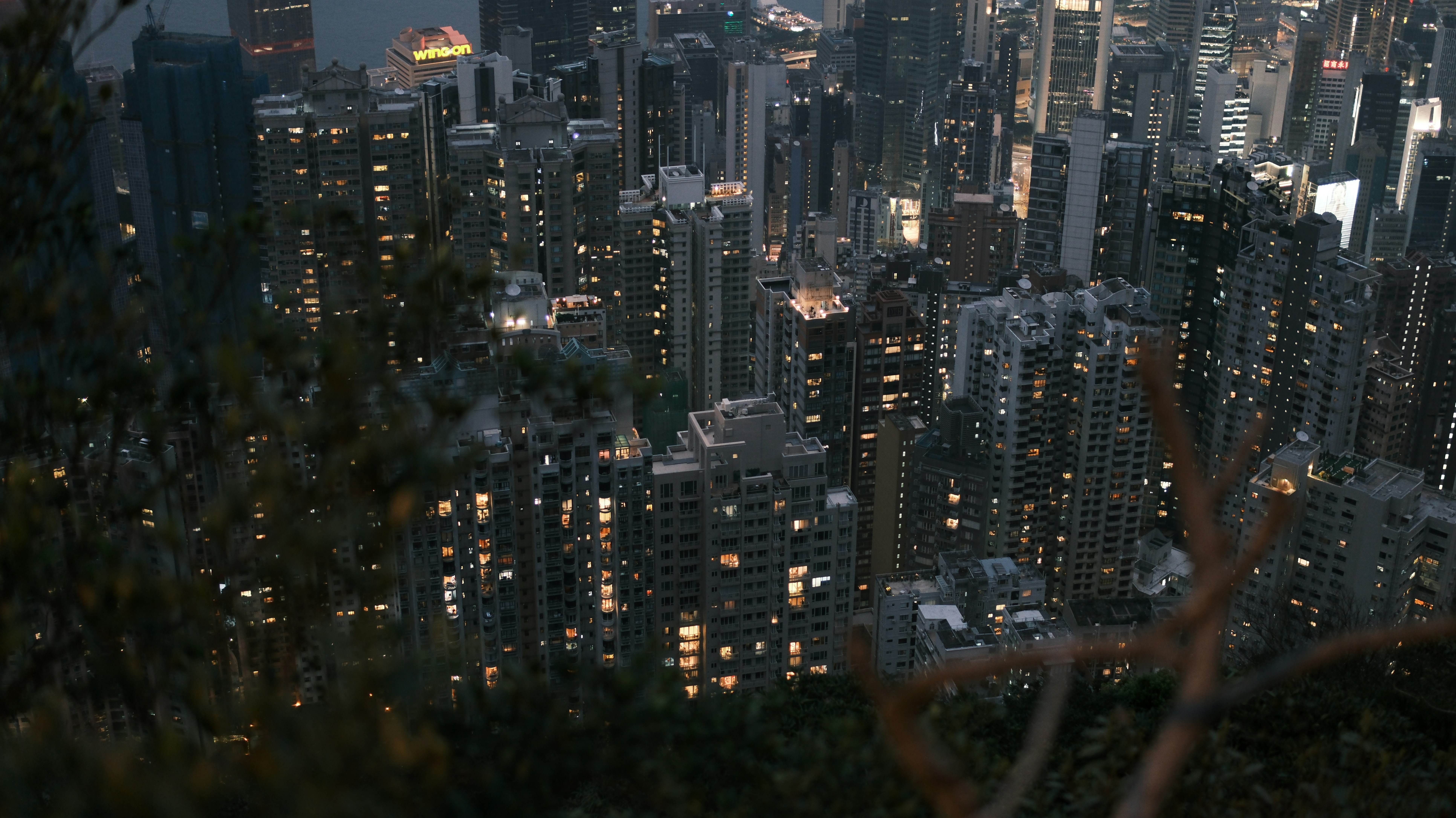 Midnight Skyline: City Microcosm from a Hidden Hill