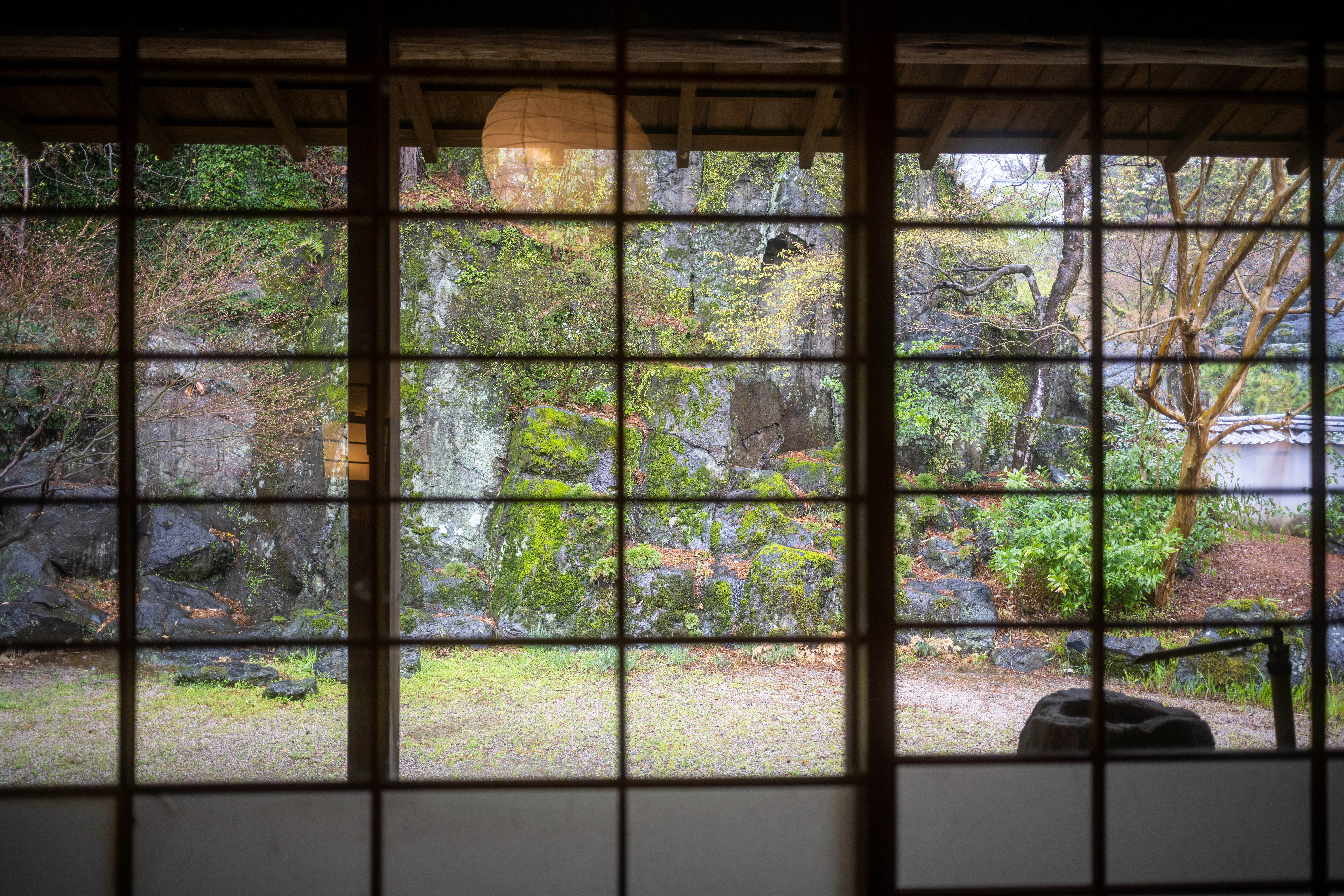 A view of a garden through a window photo – Free Window Image on Unsplash