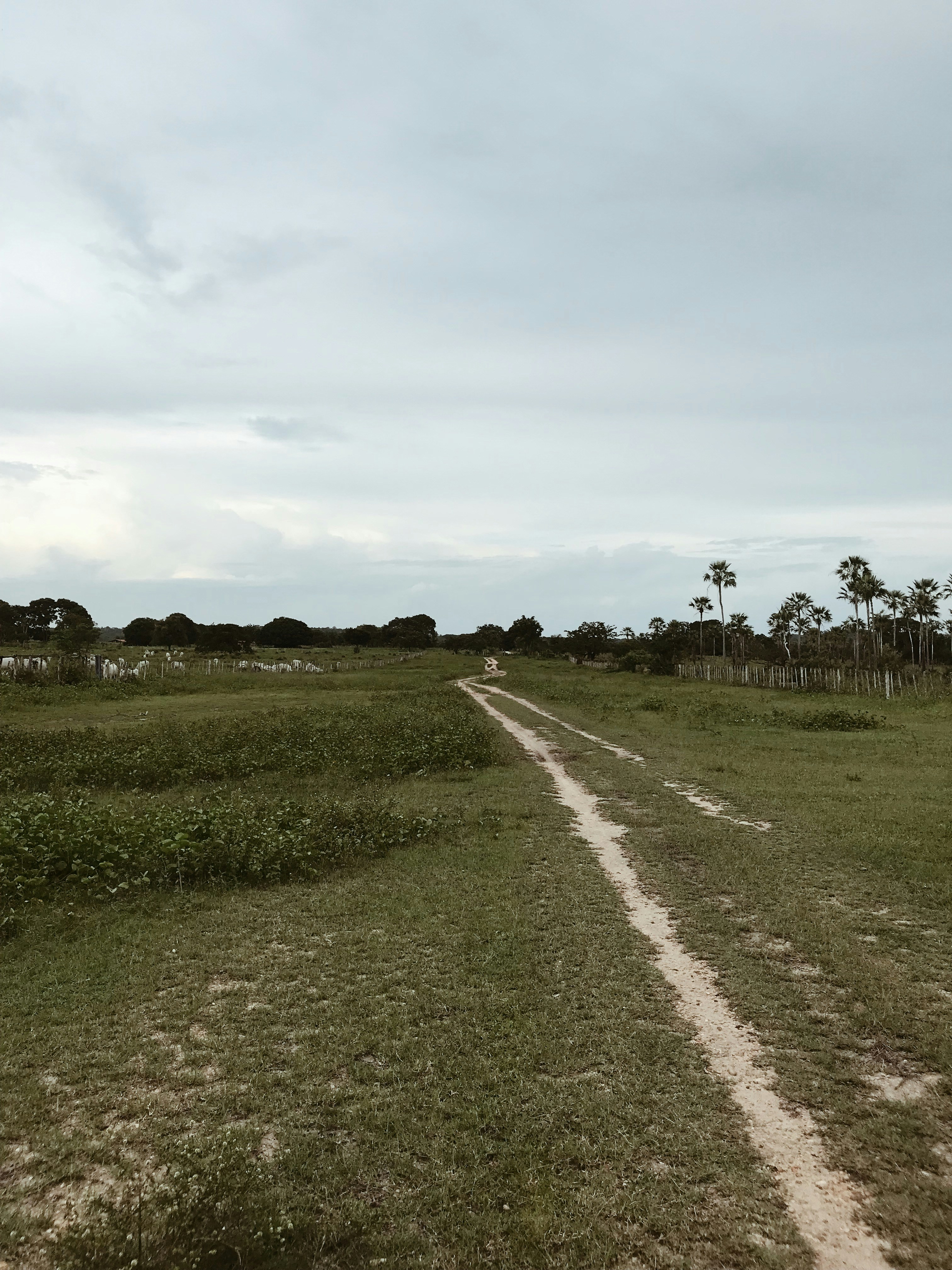 Photo by Keilane Carvalho with Apple iPhone 7