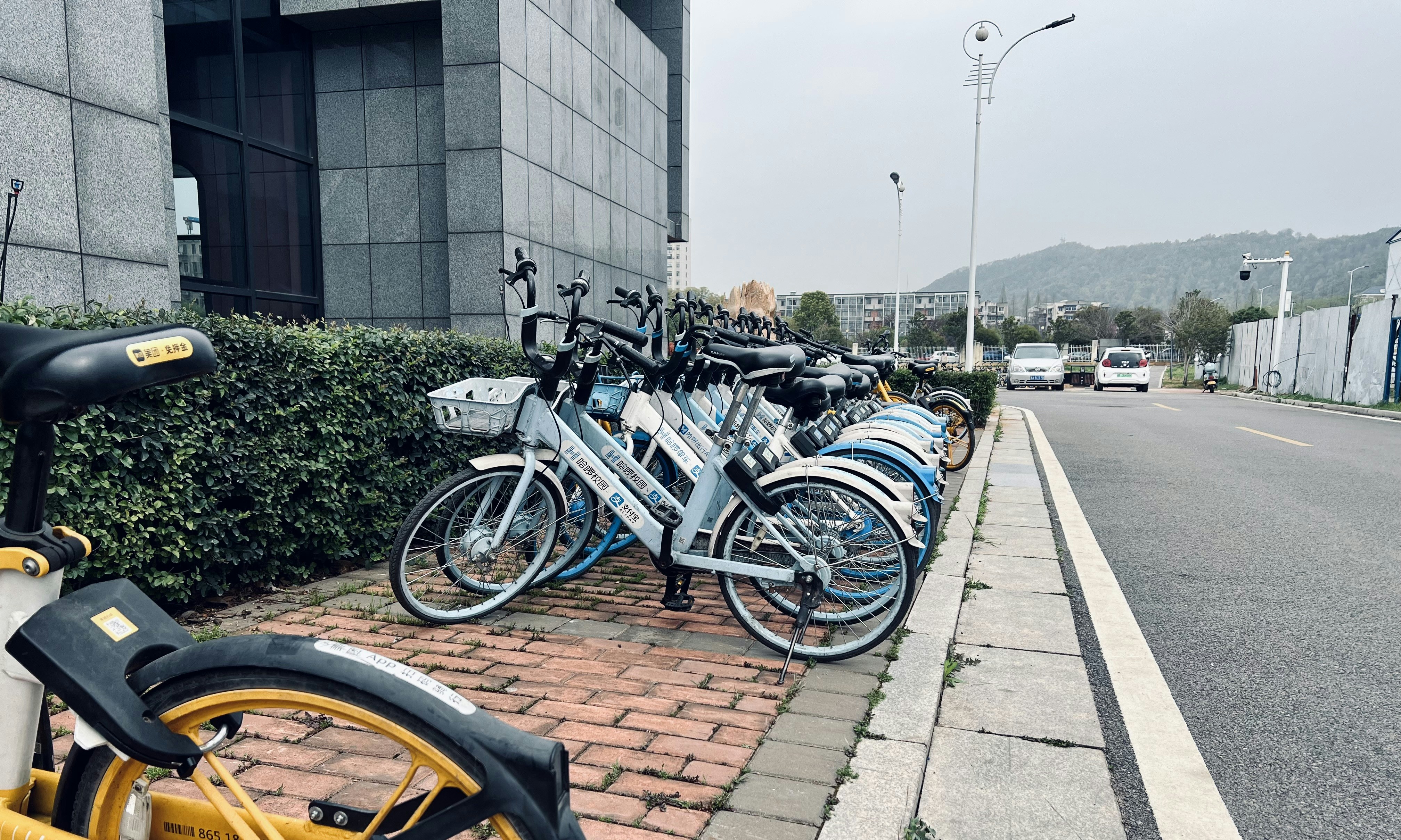 Blue Rental Bicycles Align a Sidewalk, Vanishing Toward a Quiet Street