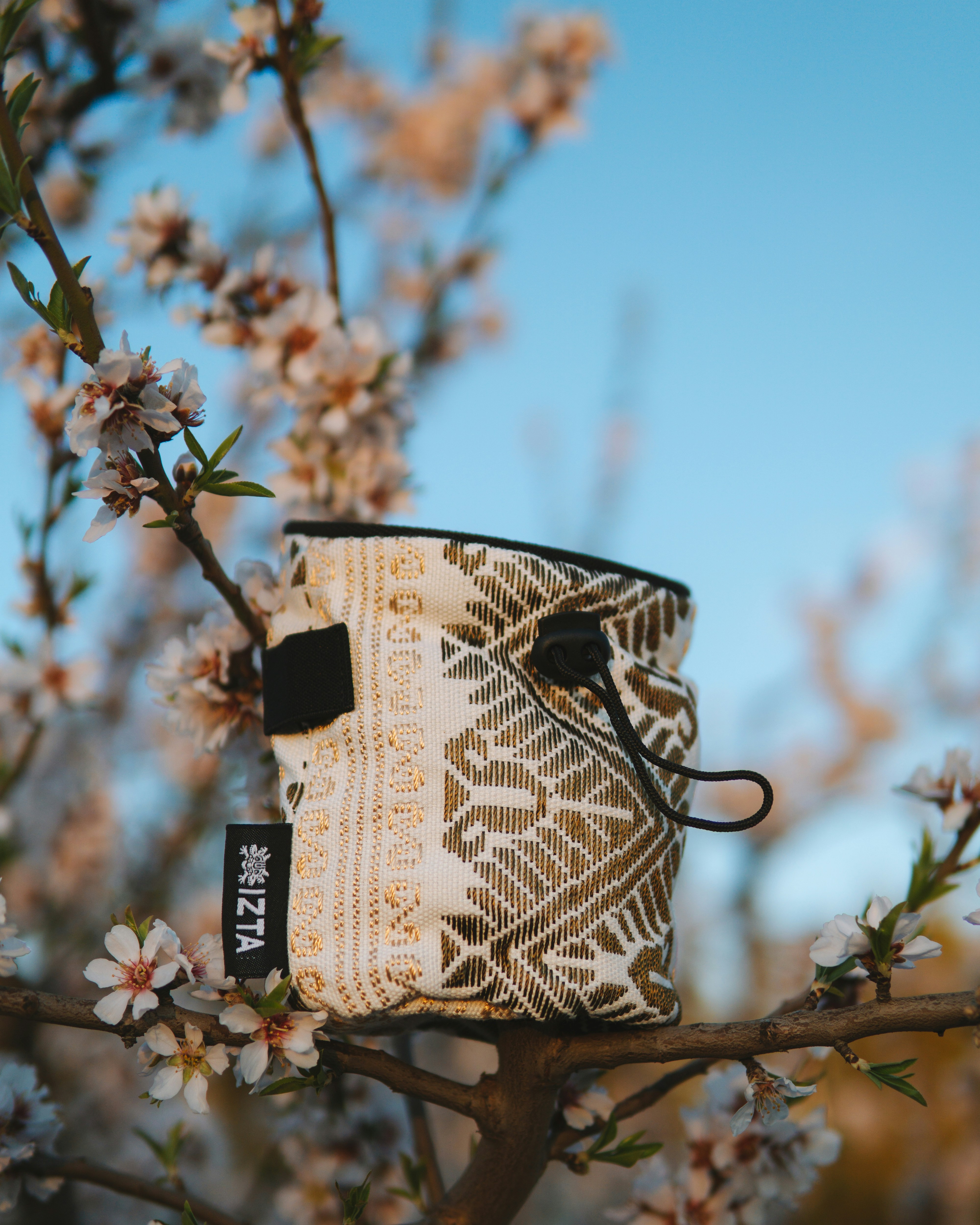 Textured Pouch on a Blossom-Lined Branch Under a Clear Spring Sky