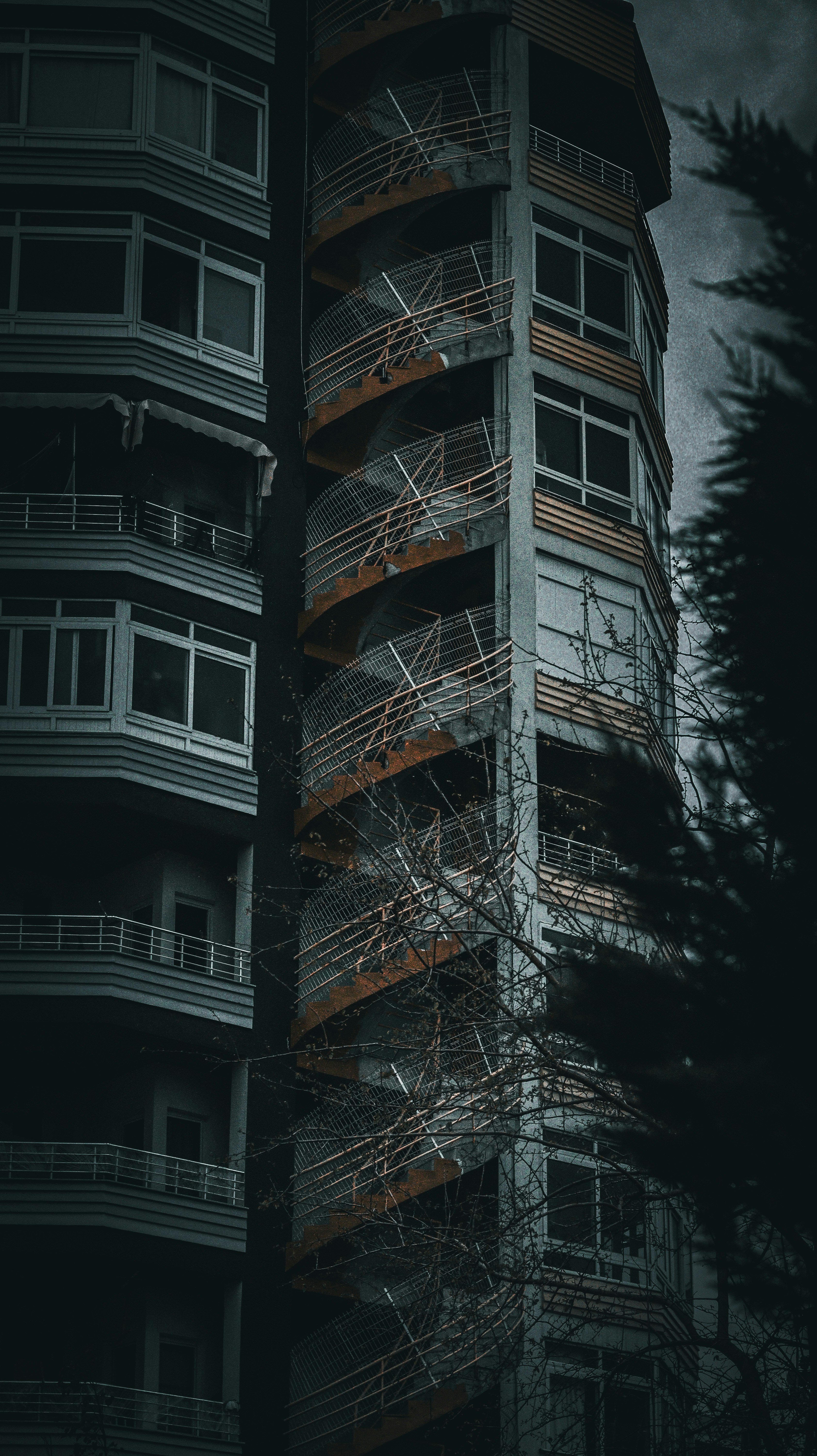 Photo by Elif Mukan with Canon EOS 250D