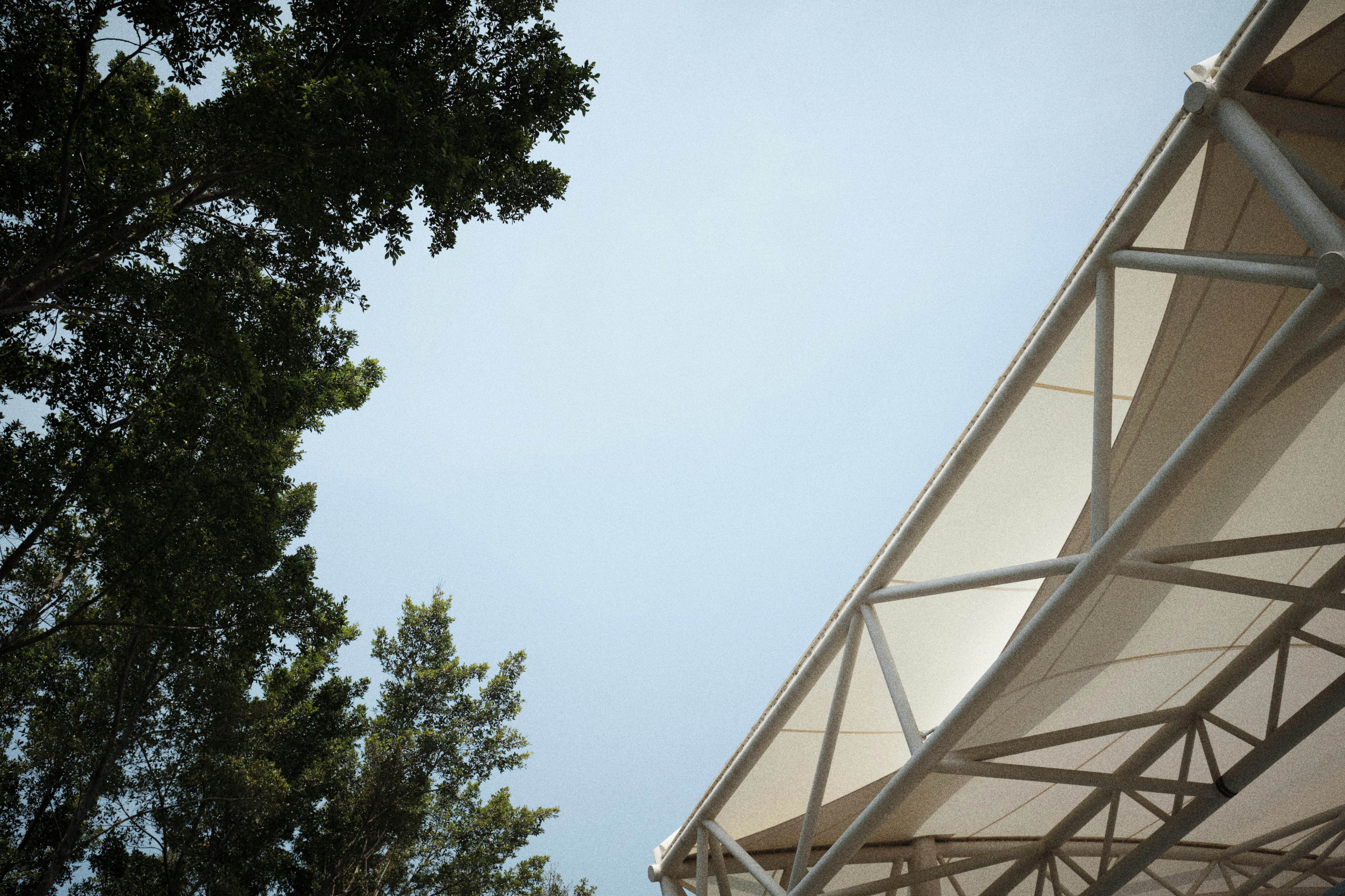 Blue Sky Framed by White Trusswork: Geometry of a Modern Canopy