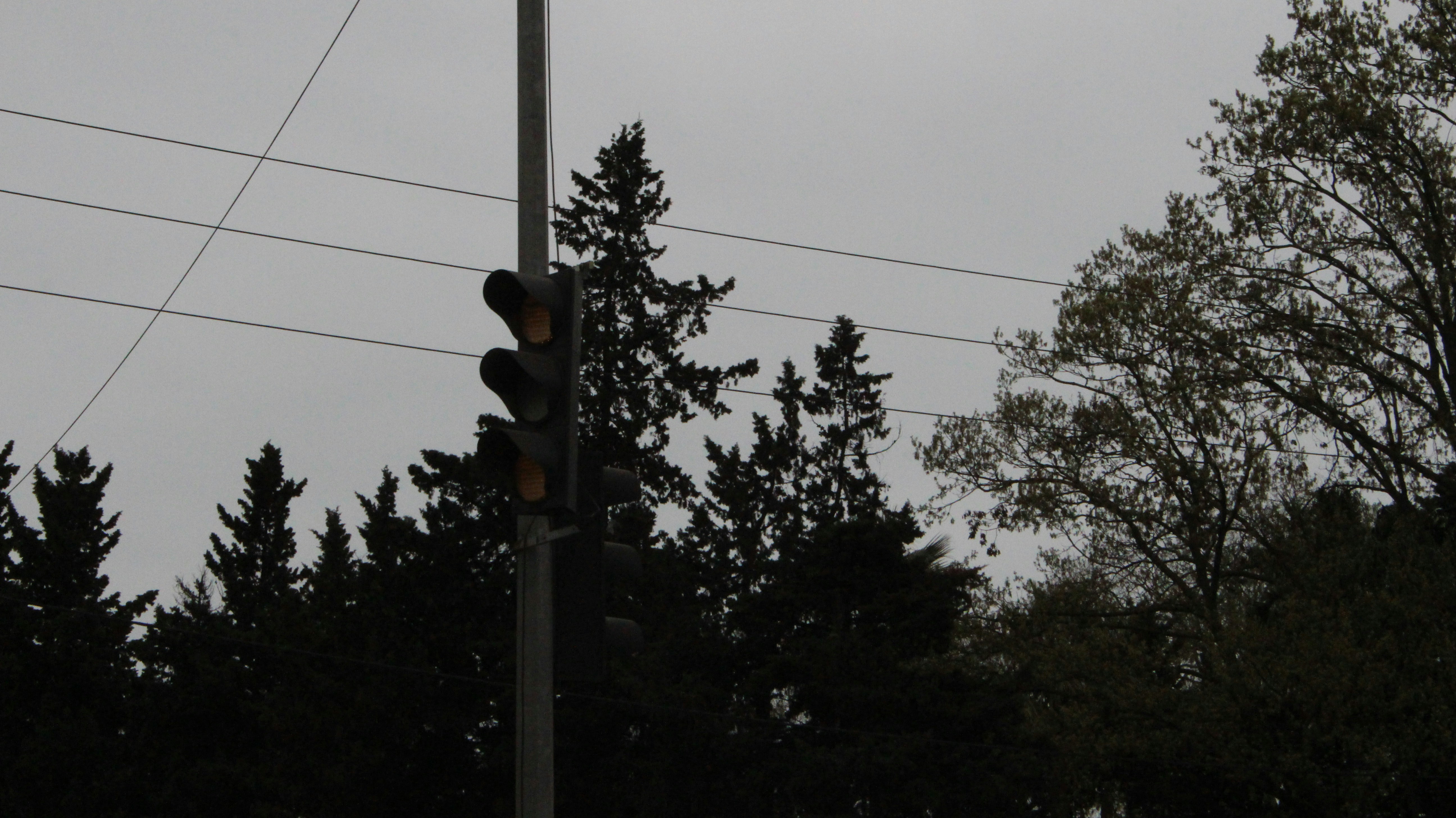 A traffic light on a pole with power lines in the background photo ...